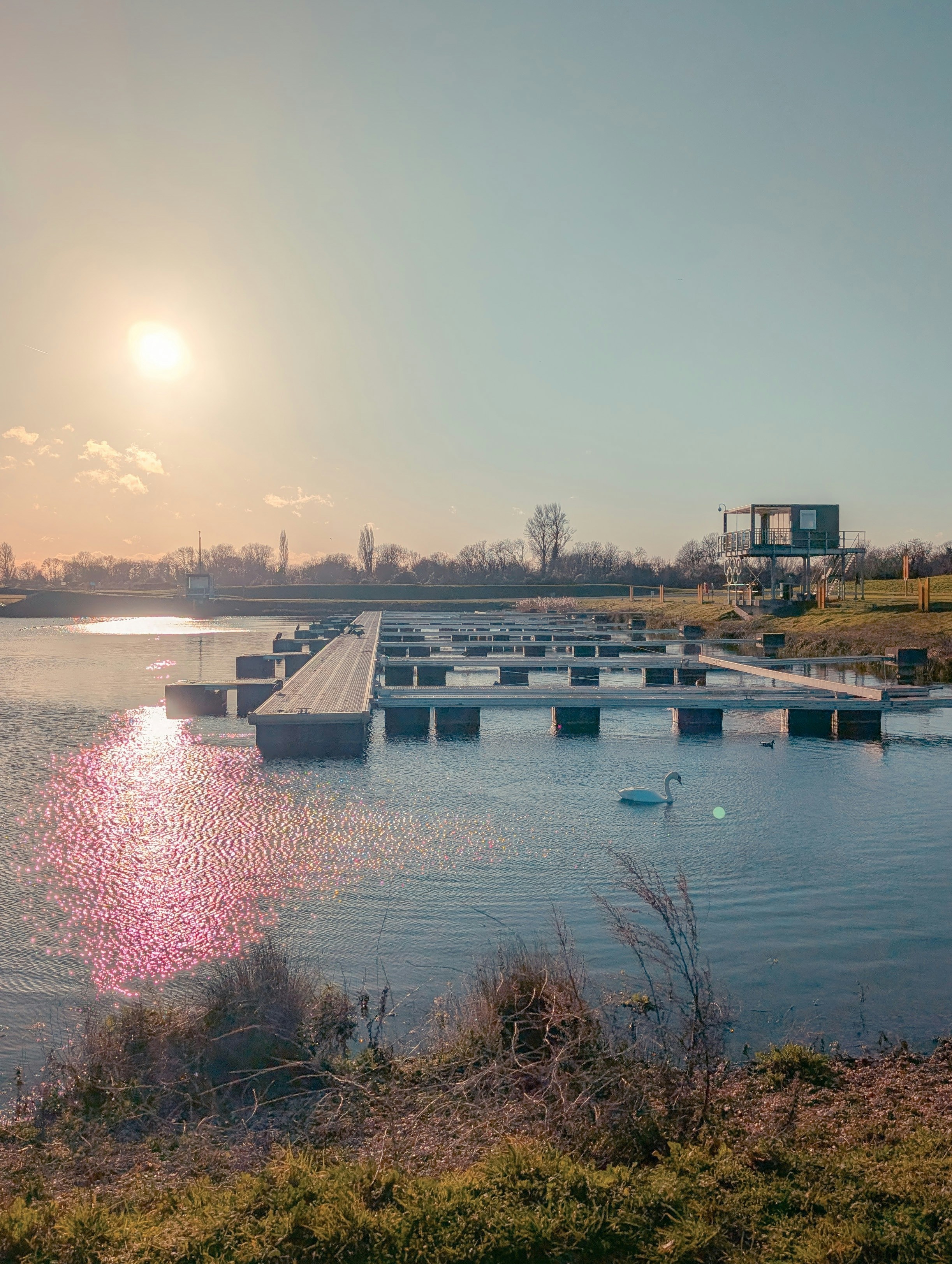 Sunlit Marina Pathways: A Quiet Tide by the Floating Docks at Dusk