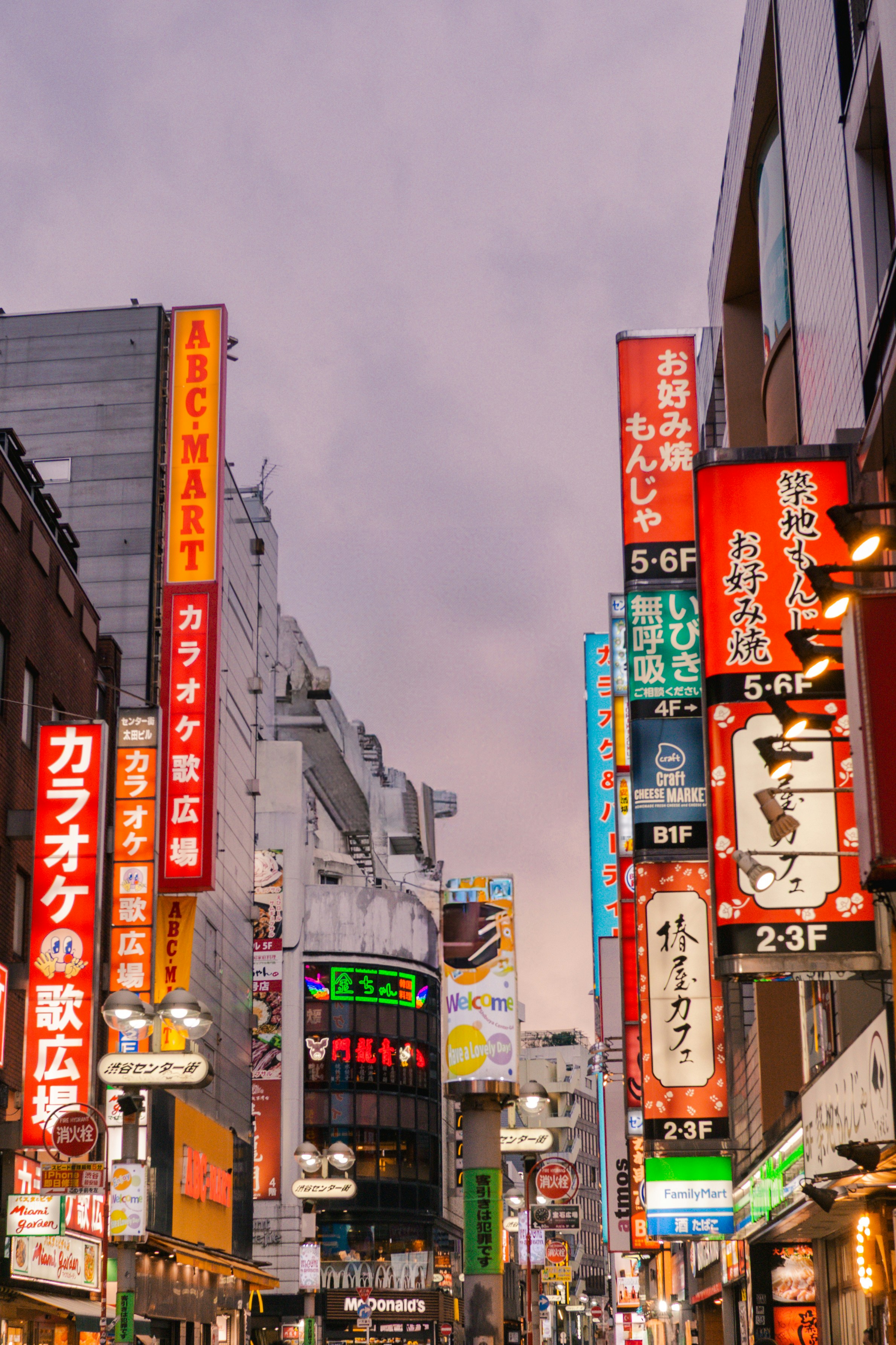 Neon Alleyways: Tokyo’s Night Signage Towering Over Pedestrian Streets