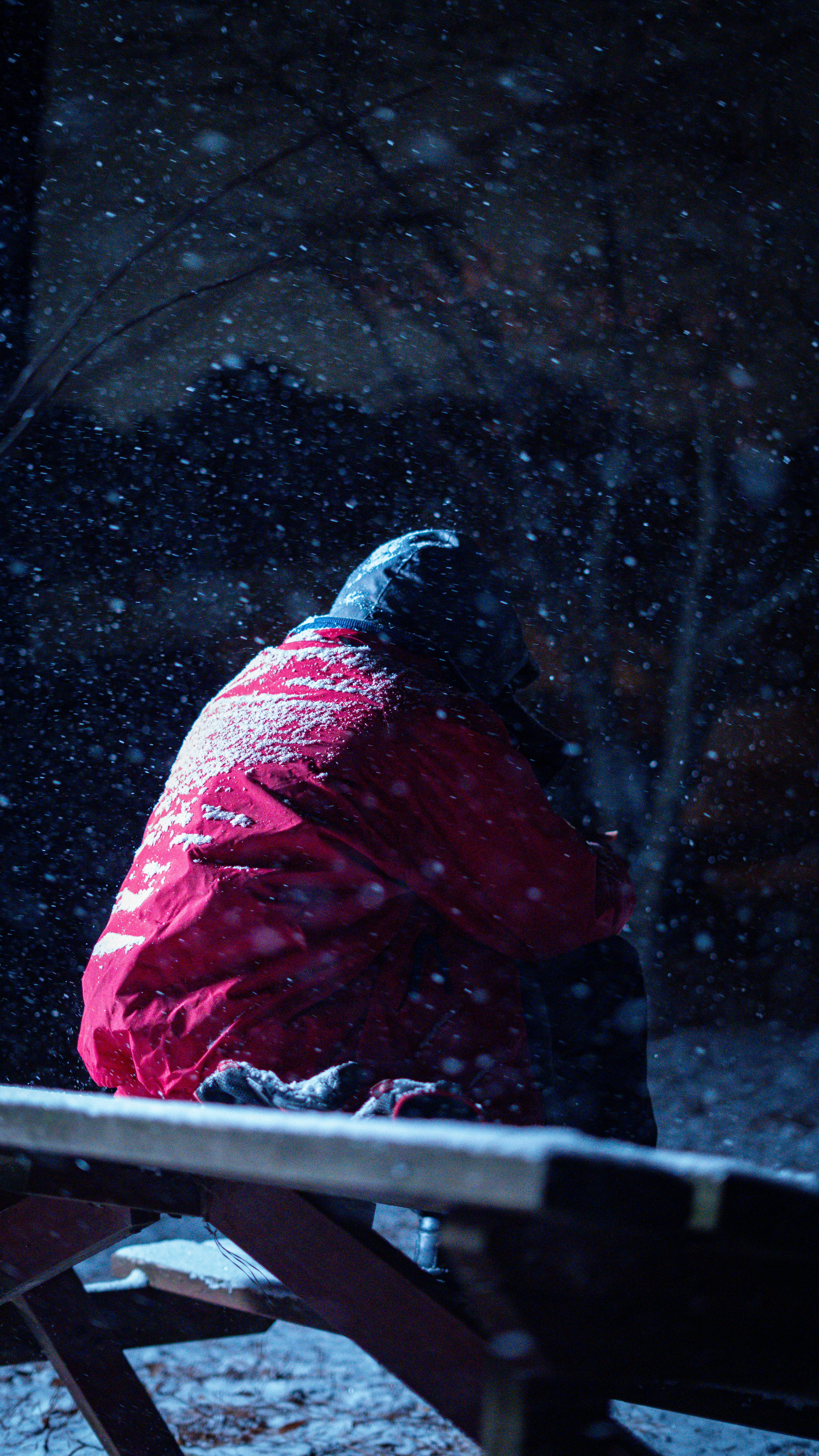 Snowbound on a Bench: Quiet Winter Afterglow