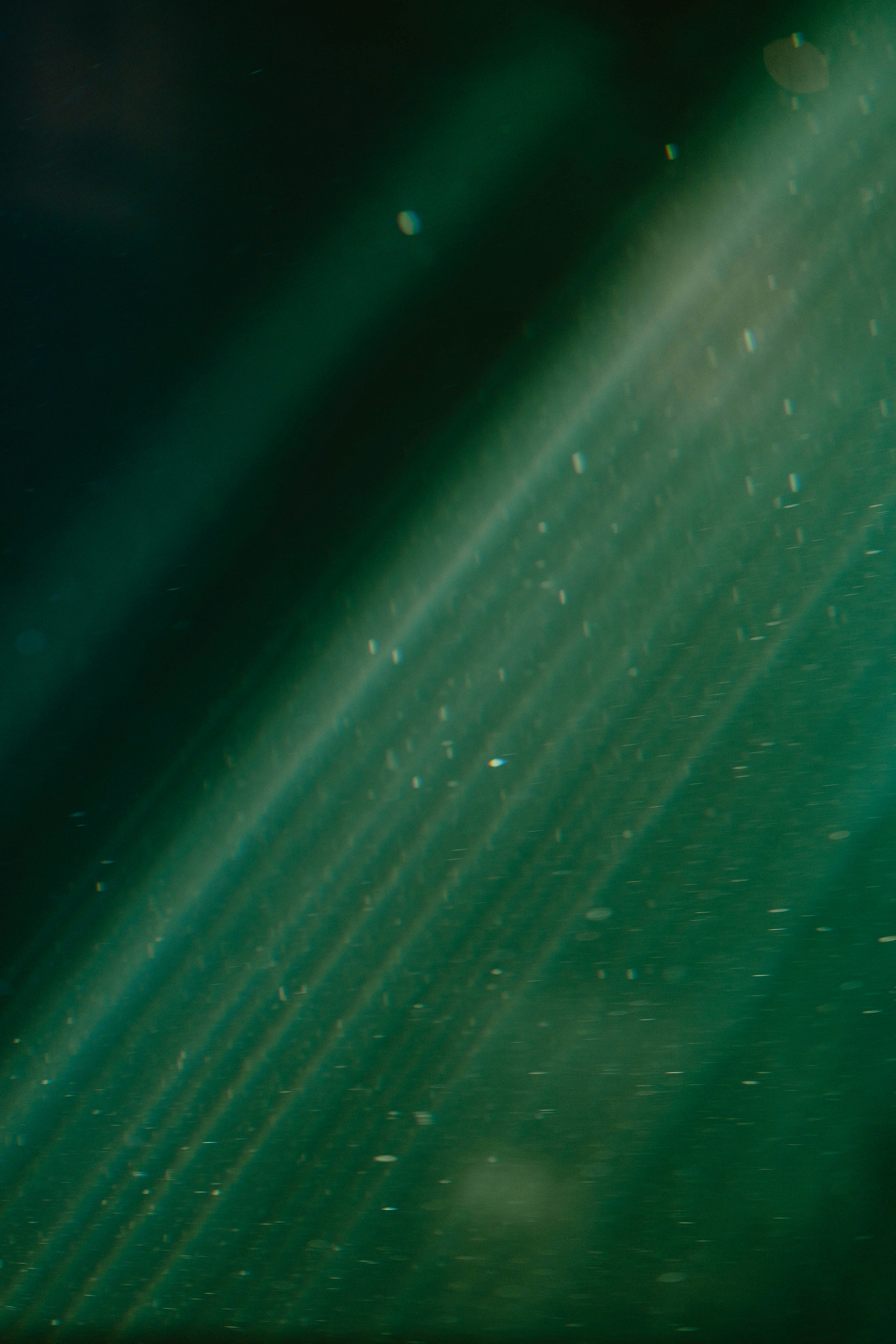 Emerald Veil: A Macro Glance at a Leaf's Stria