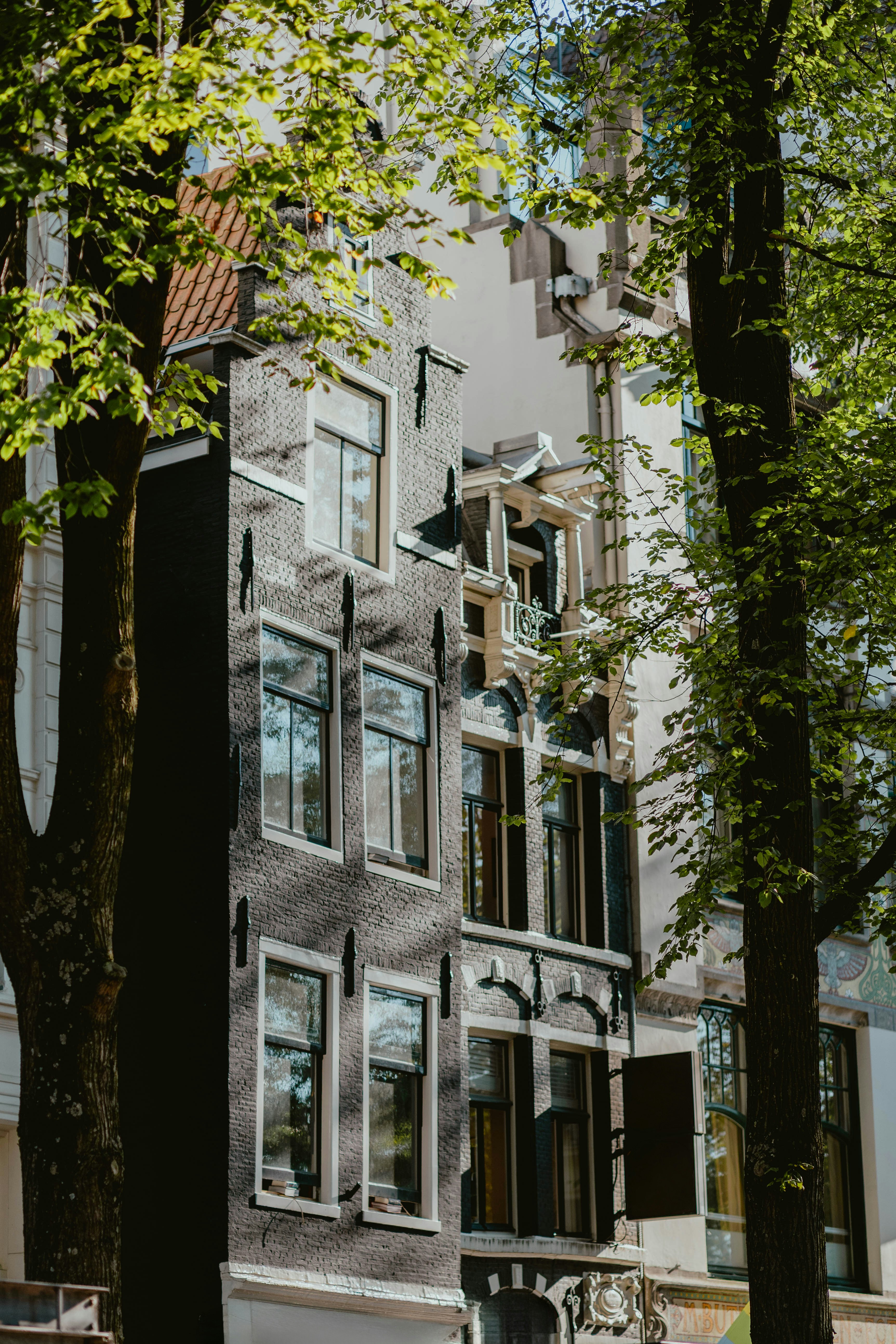 Old Amsterdam Facade Quietly Framed by Green Canopy