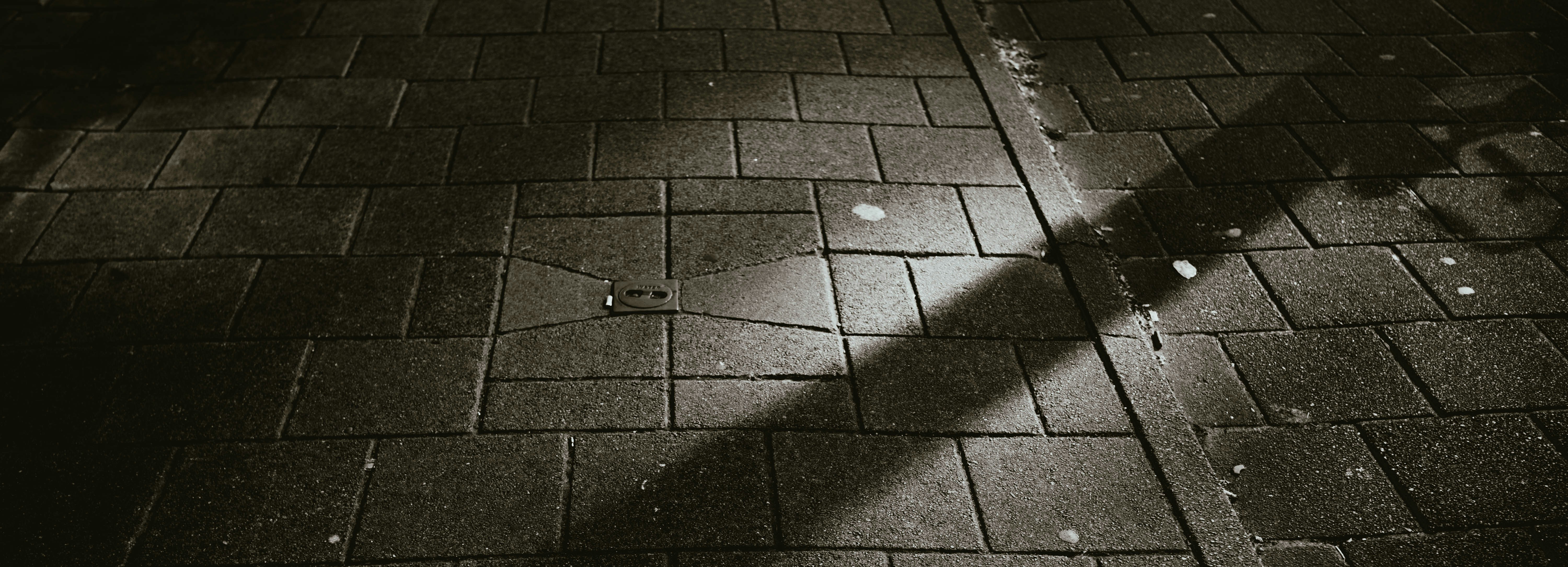 Shadowed Footpath: A Quiet Strip of Dusk on Cobblestones