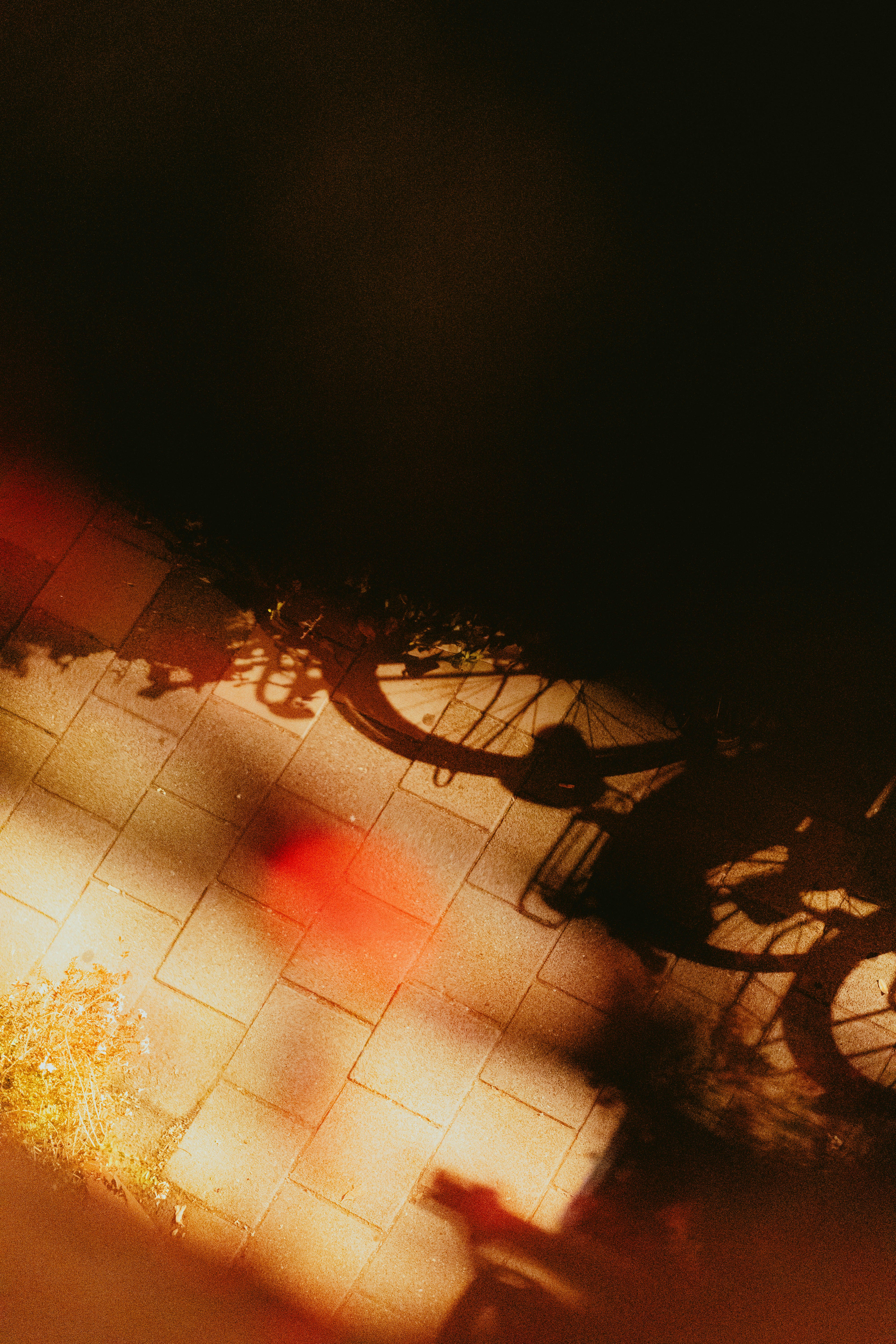 Shadowed Bicycles and Tile Mosaic in Evening Glow