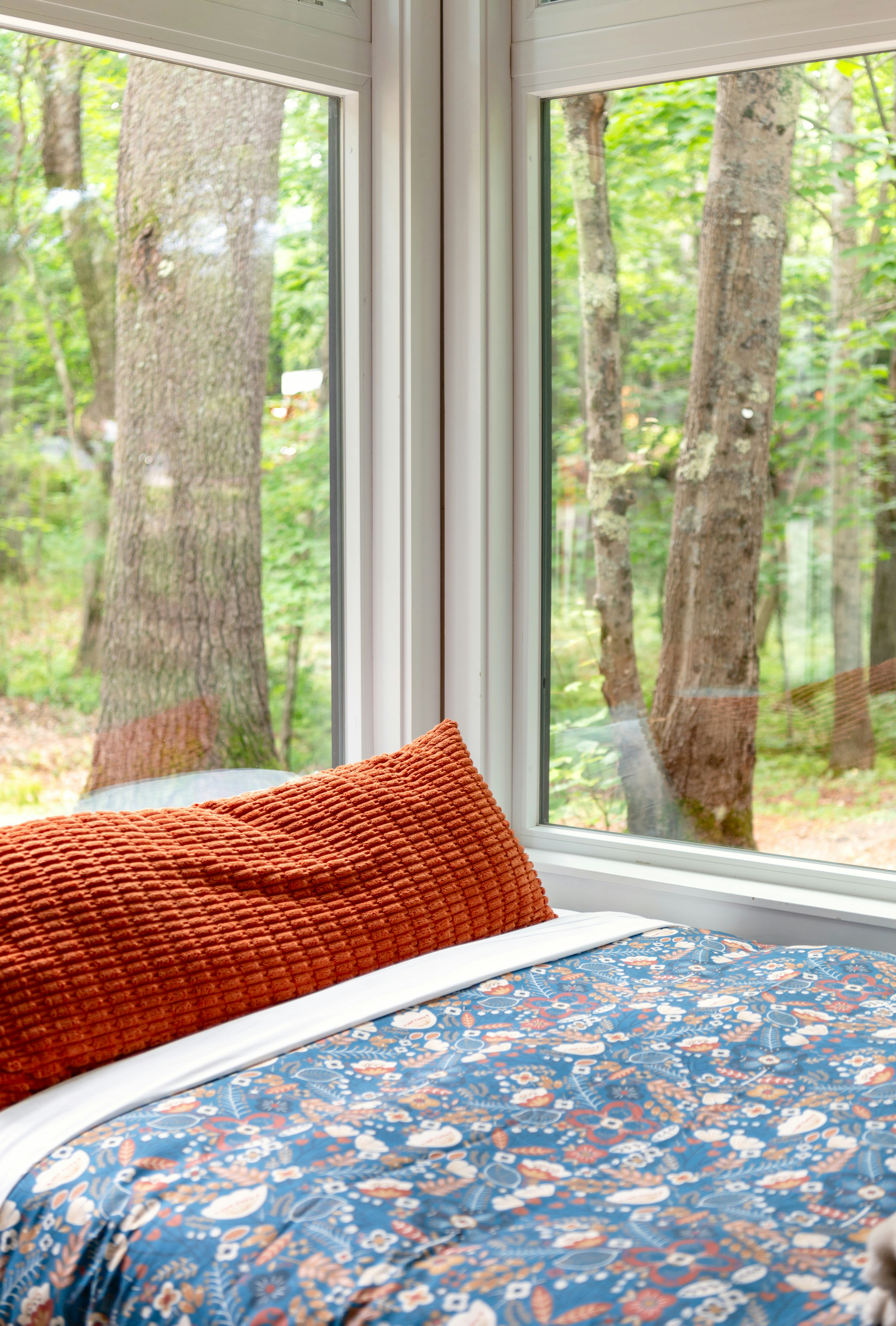 Cozy Morning Vista: Sunlit Bedroom by the Forest Window