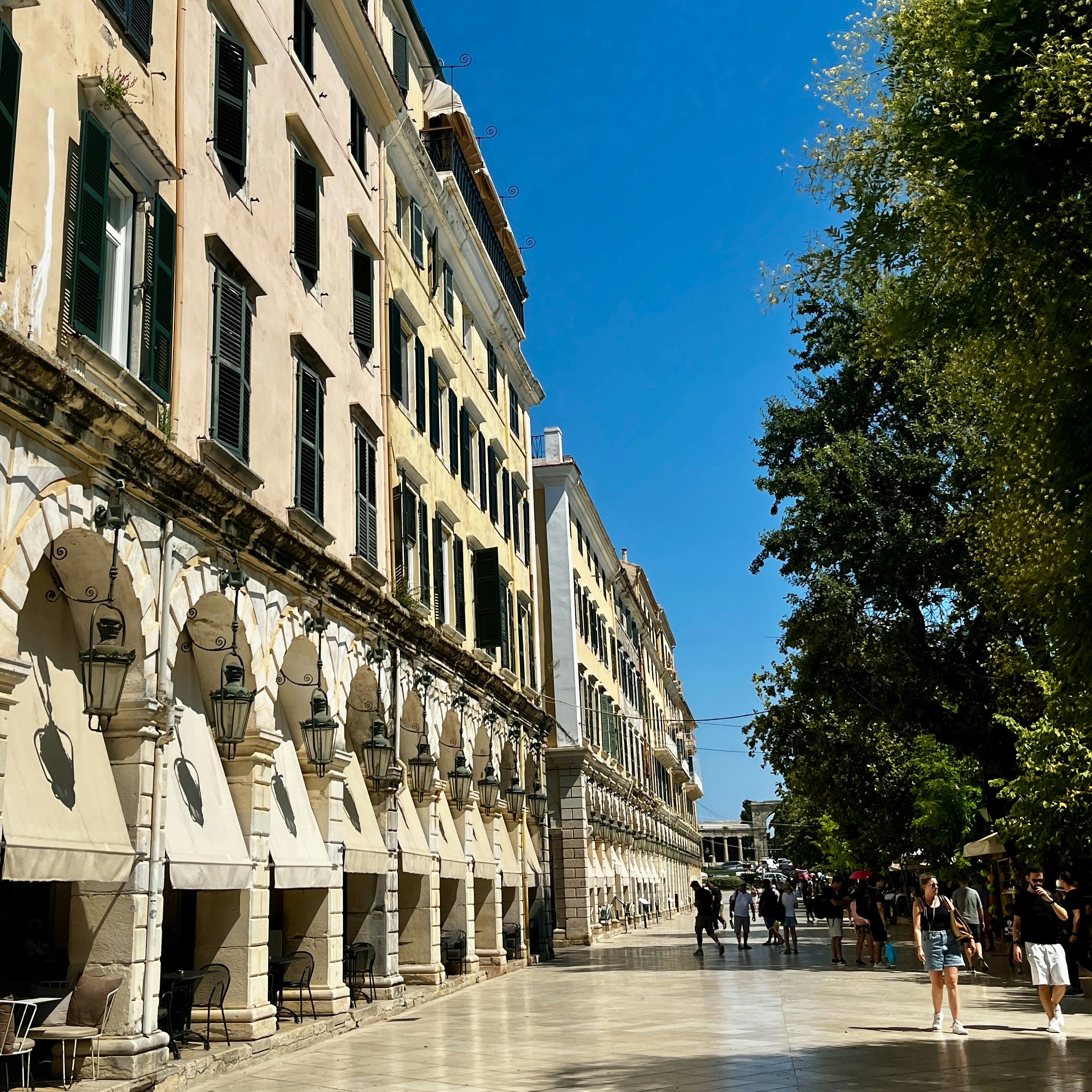 Sunlit Arcade: A Pedestrian Grove Along a Classical Street