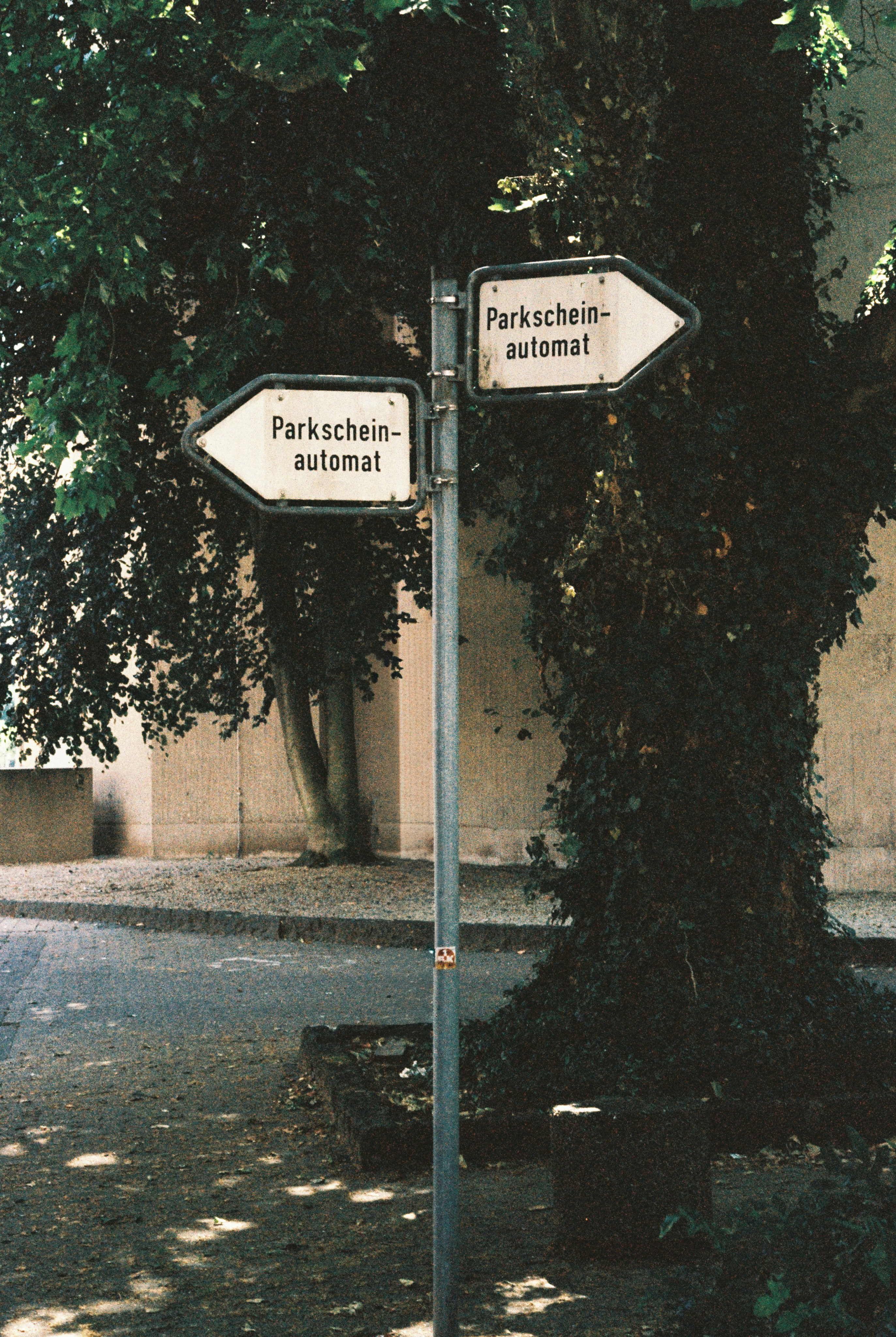 Dual Wayfinder: A Pair of German Parking Signs Amid Shadowed Alley