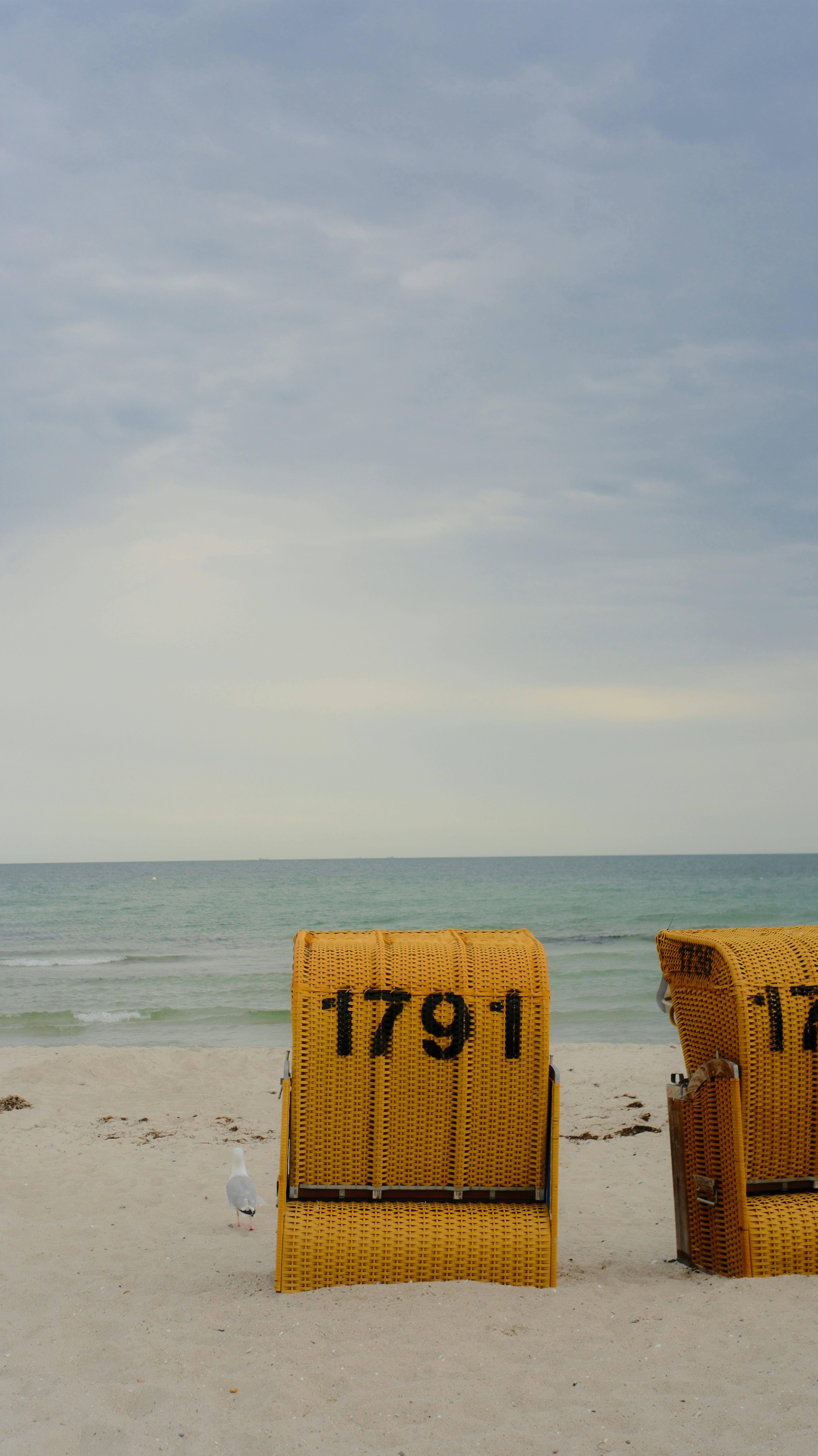 Two Rattan Loungers Guard the Quiet Shore