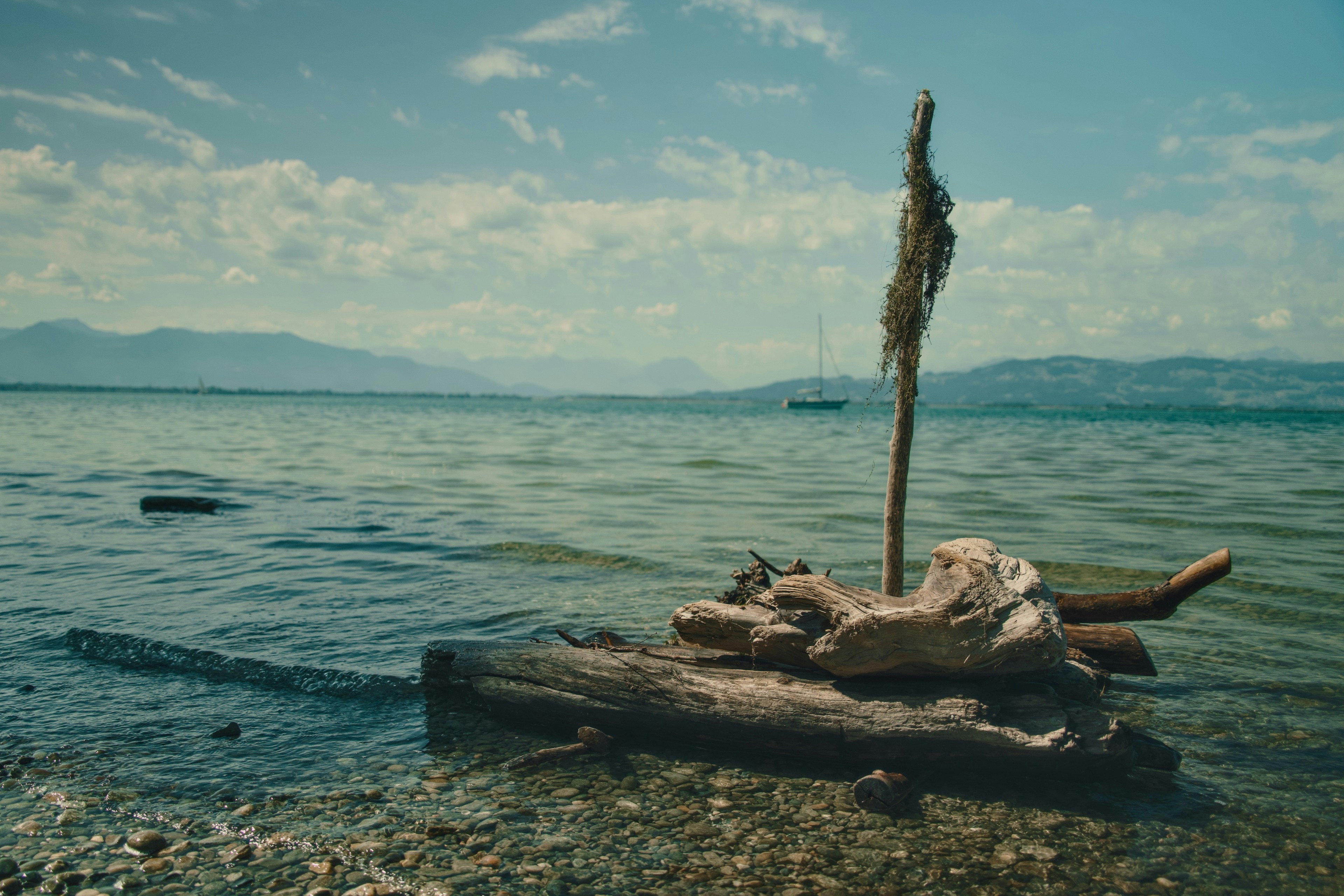 Driftwood Sentinel: A lone weathered log with a vertical reed against a calm alpine lake