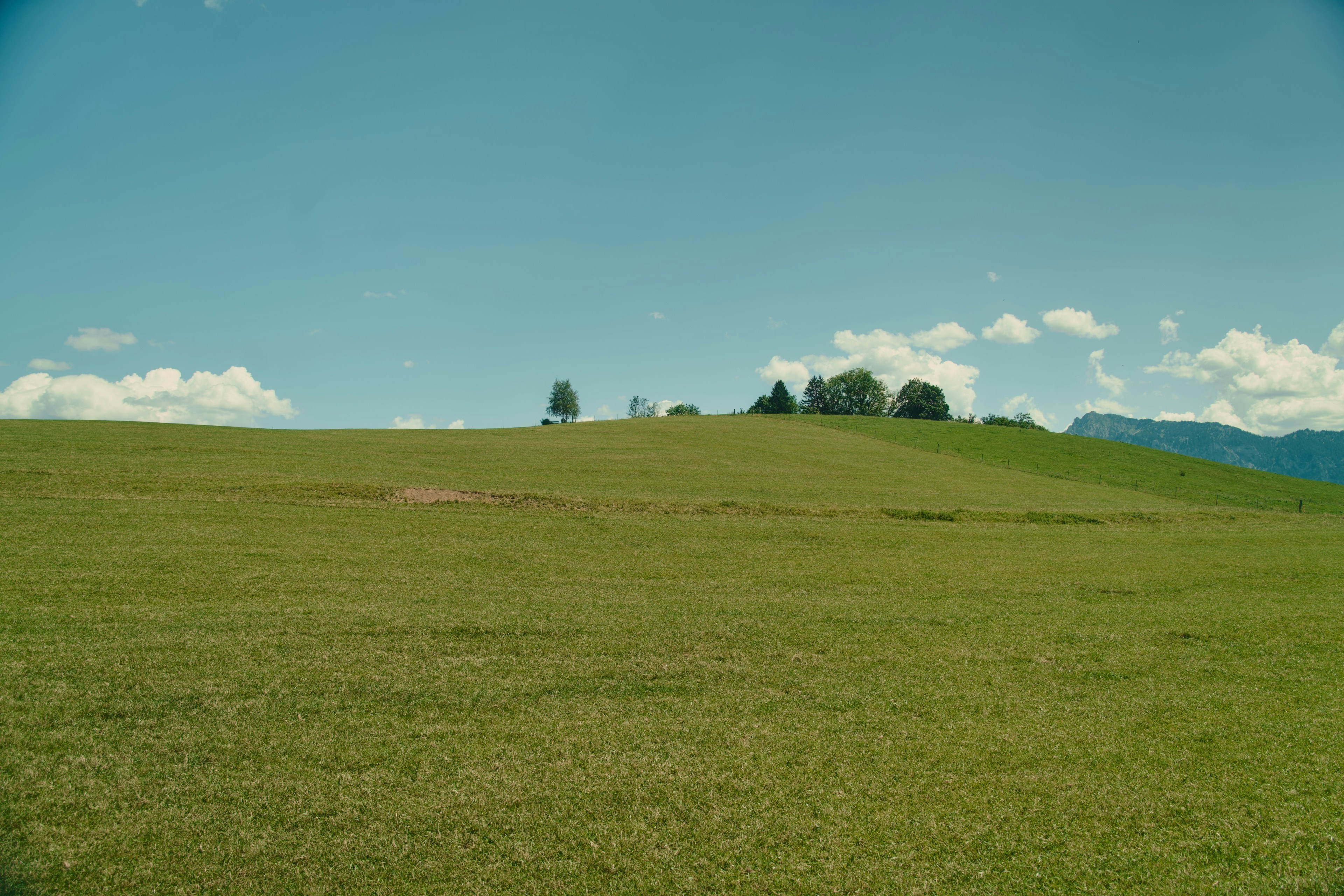Hilltop Horizon: A Quiet Meadow Under Wide Skies