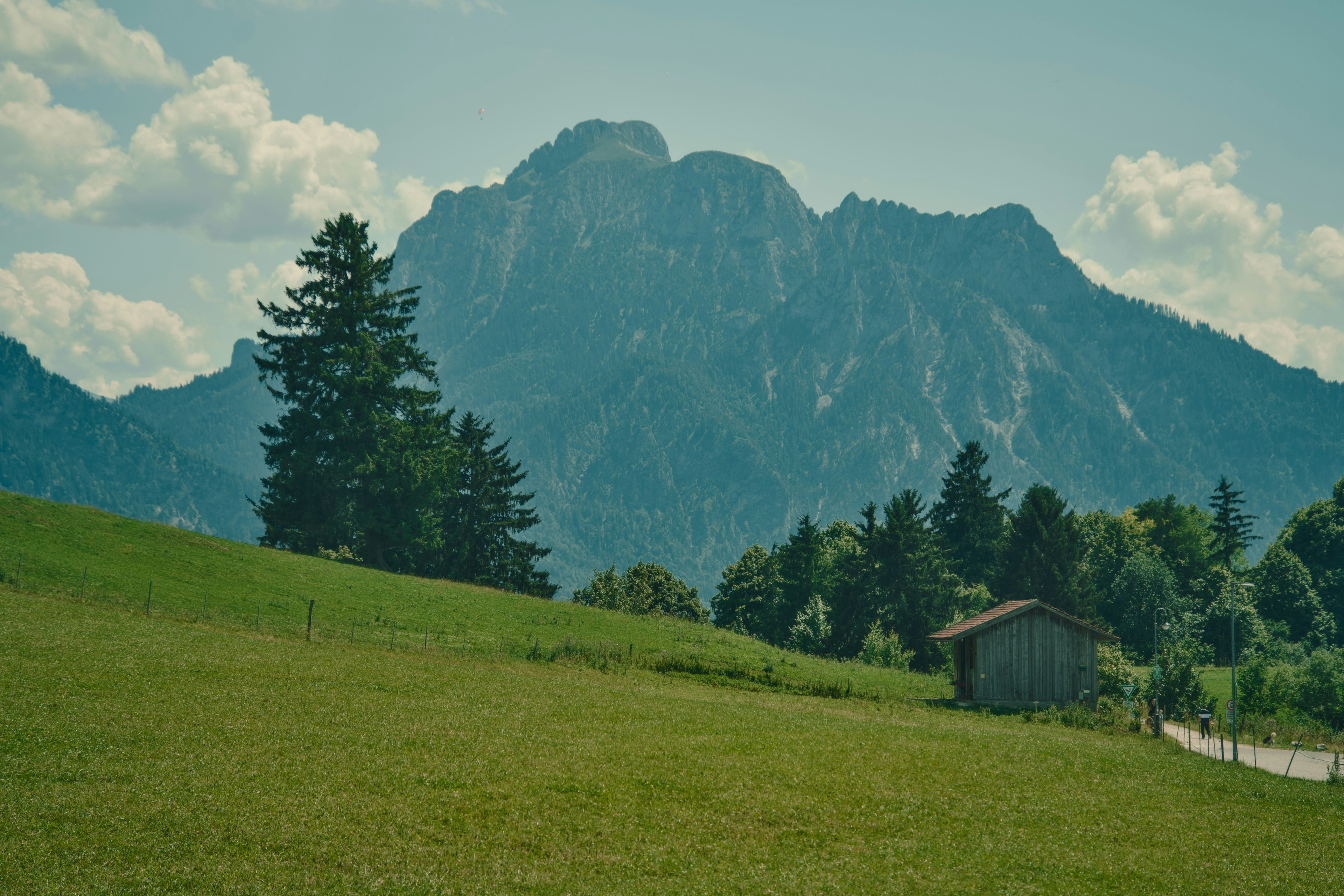 Alpine Meadow and Distant Peak