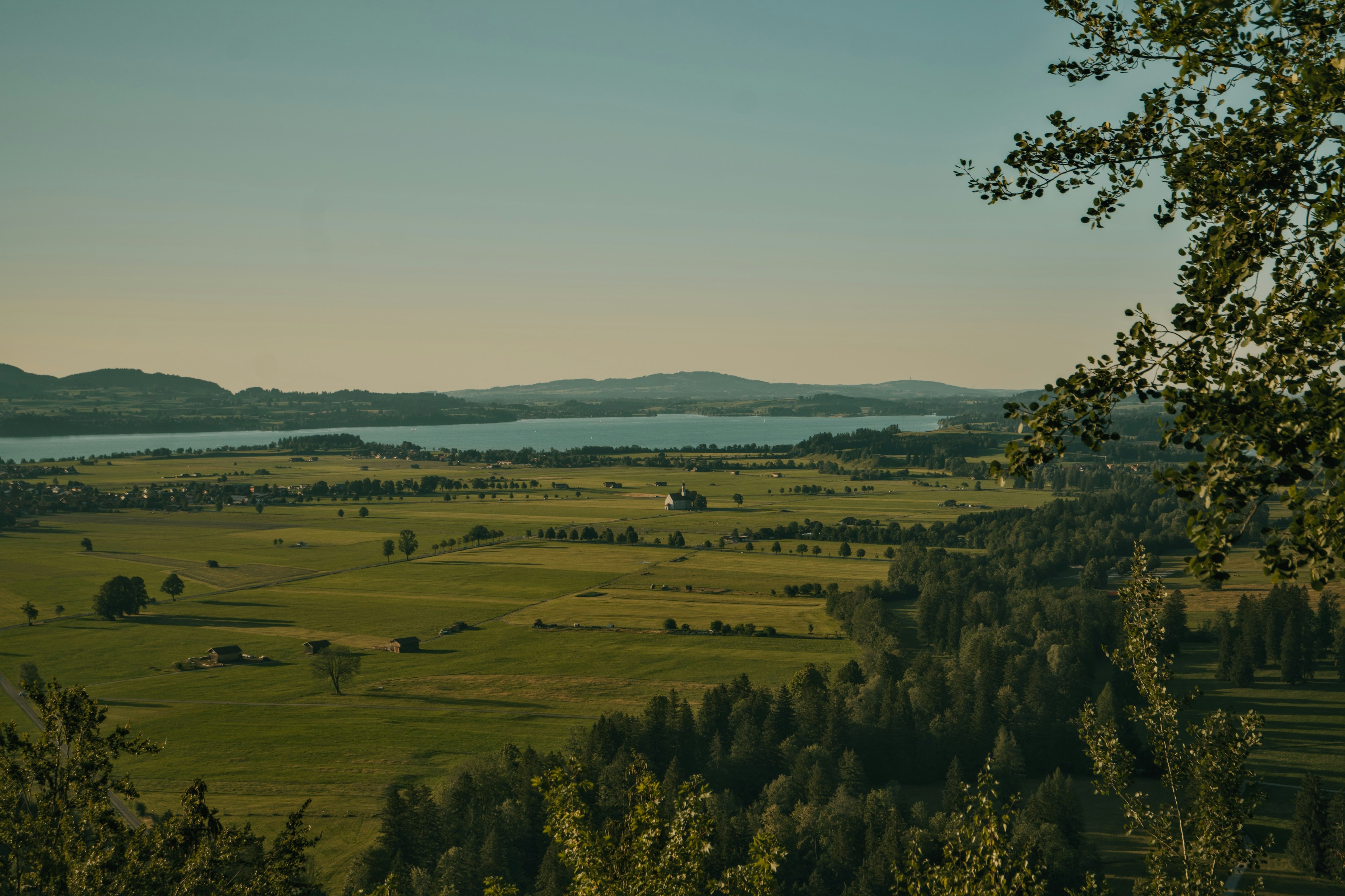 Sunlit Valley Beyond the Foreground Trees