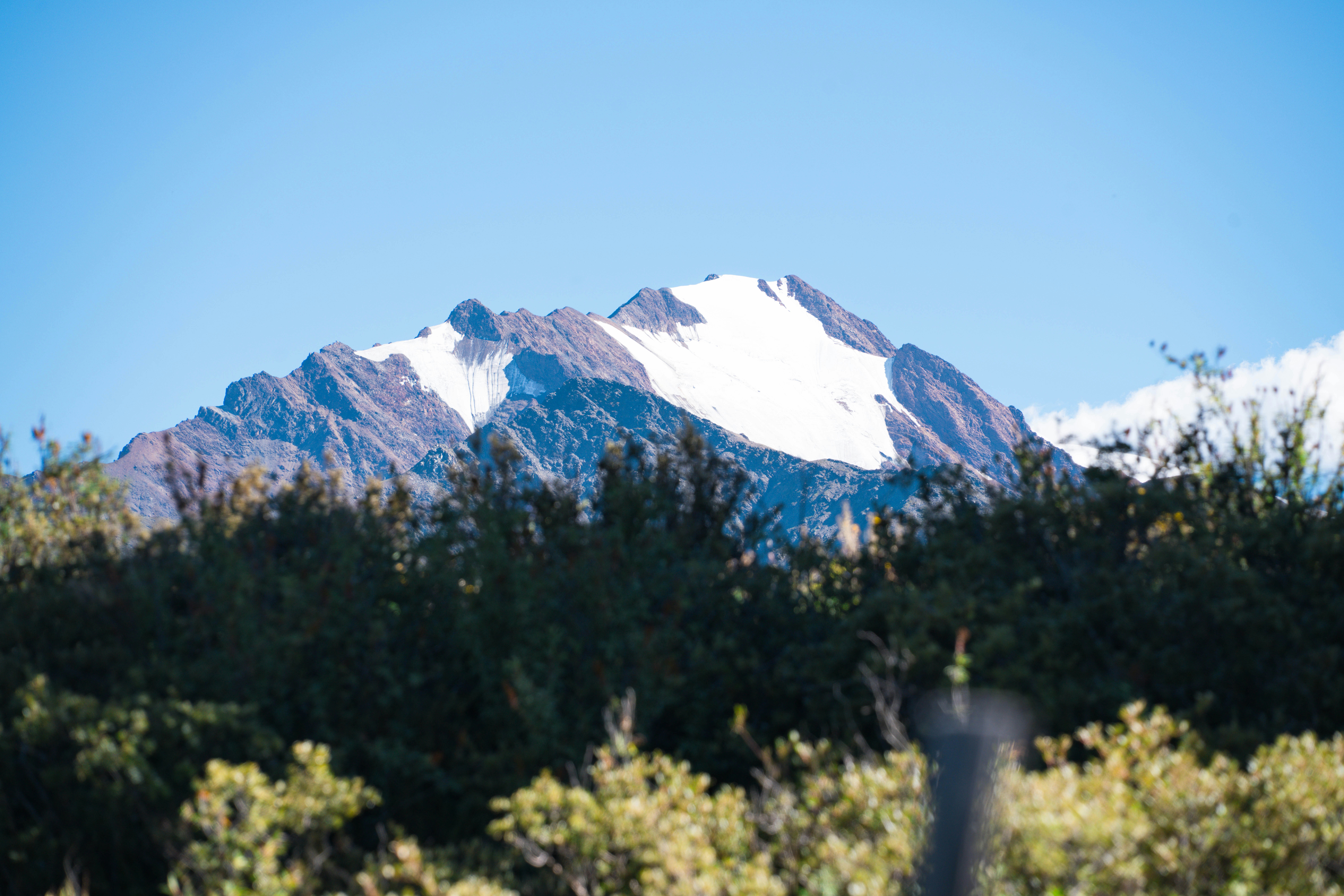 Snow-Capped Peak Peeking Over a Forested Ridge