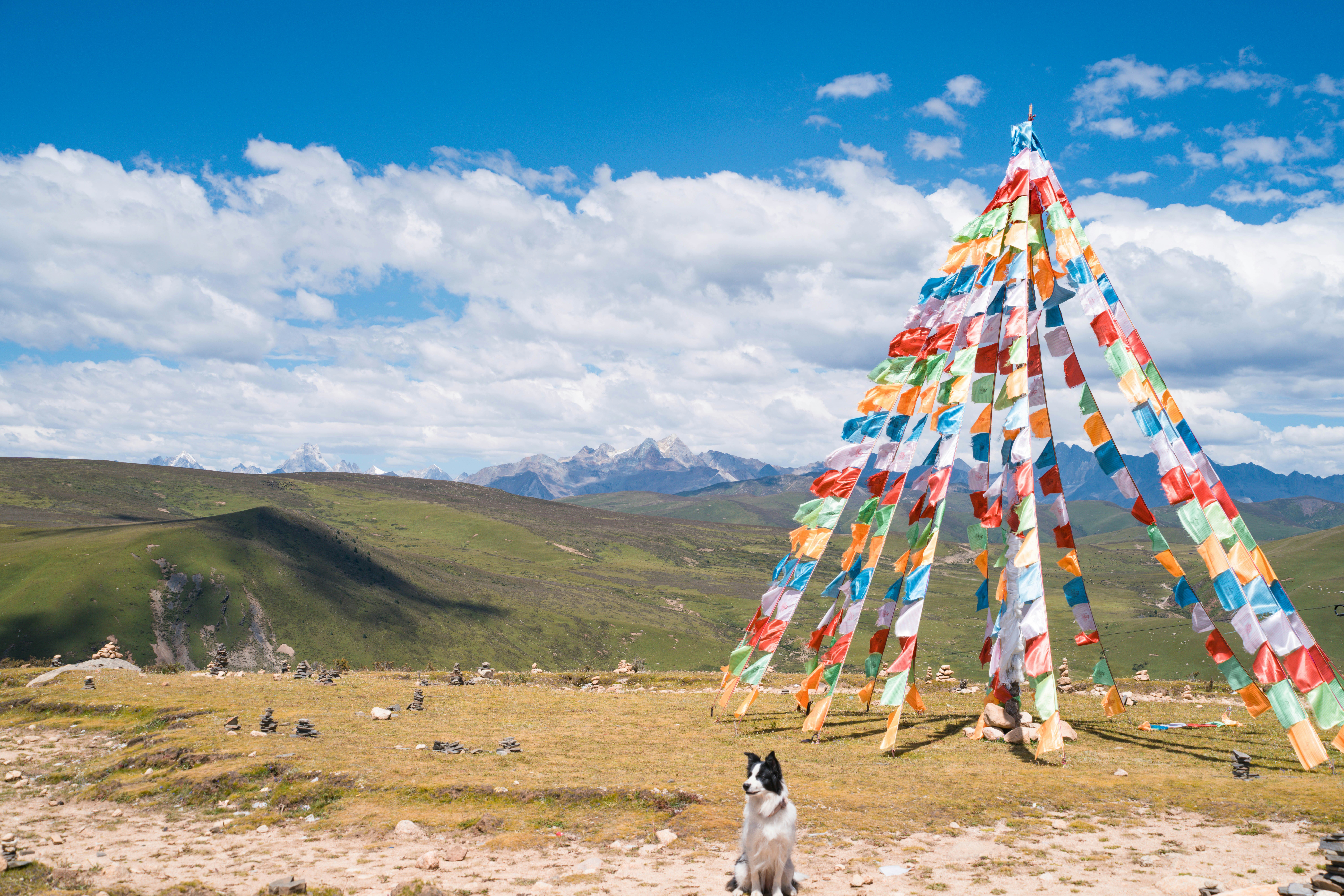 Prayer Flags in a Wide Open Steppe