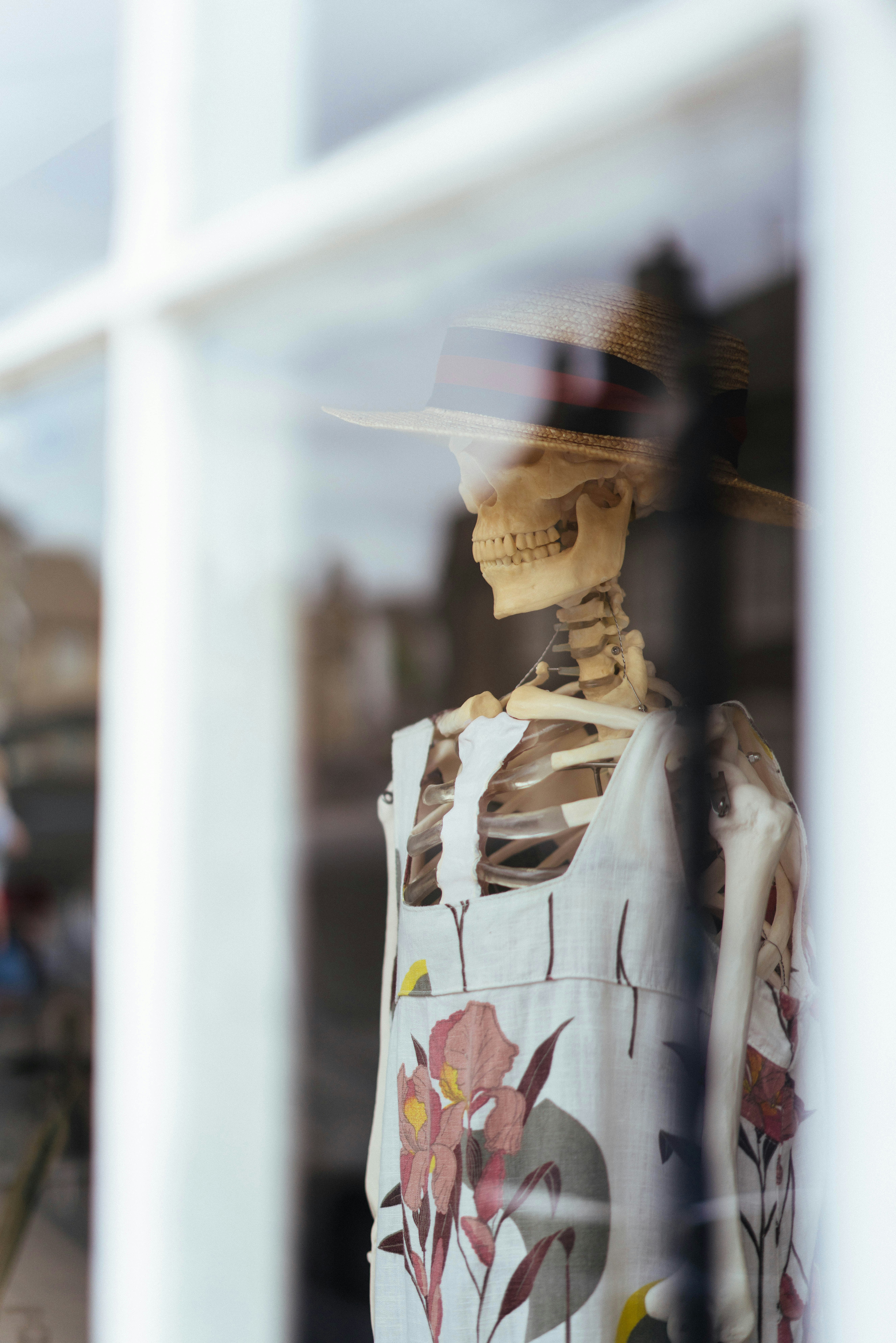 Skeleton in a Floral Apron Behind a Glass Window