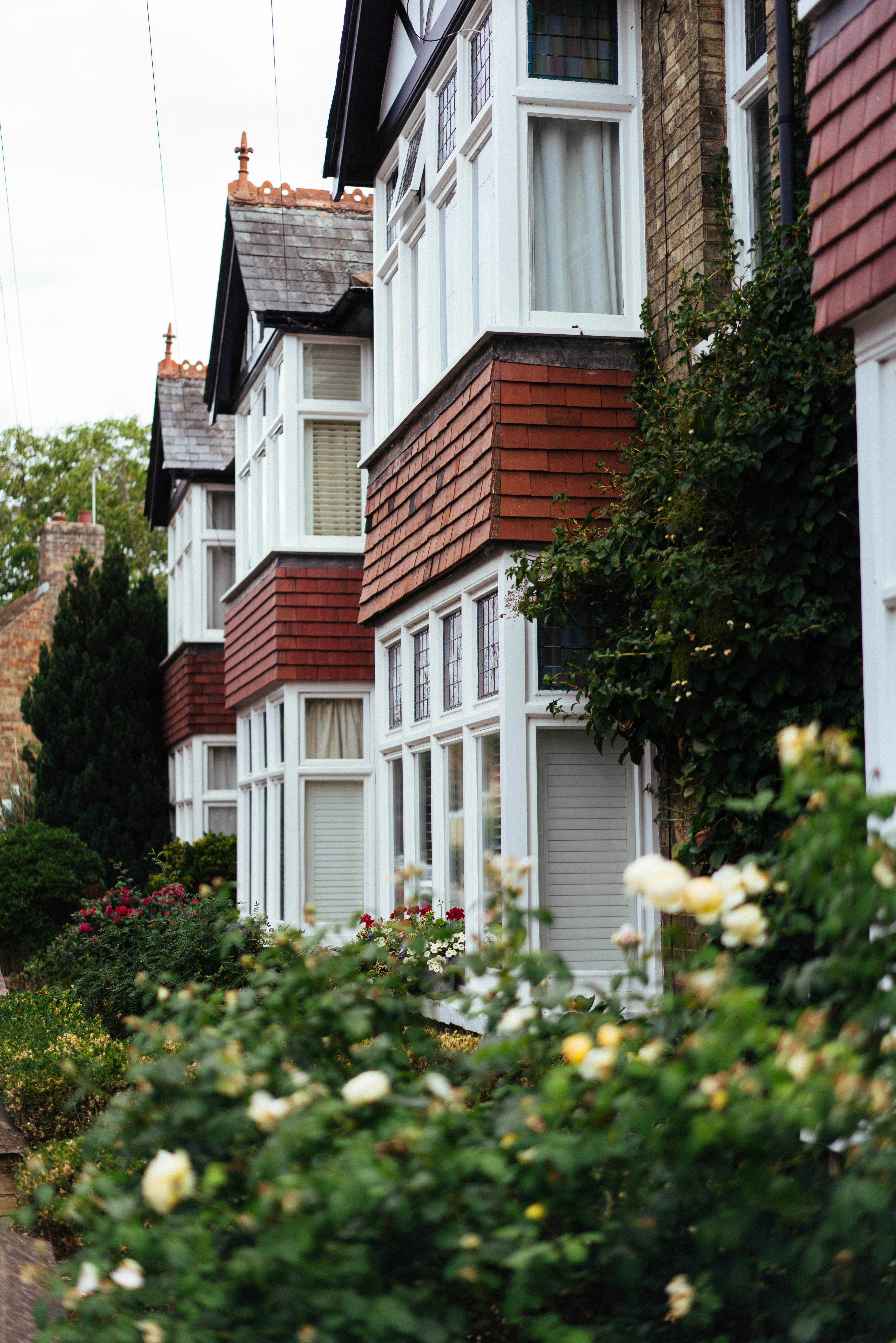 Row of Cottage-Style Townhouses Framed by Blooming Garden