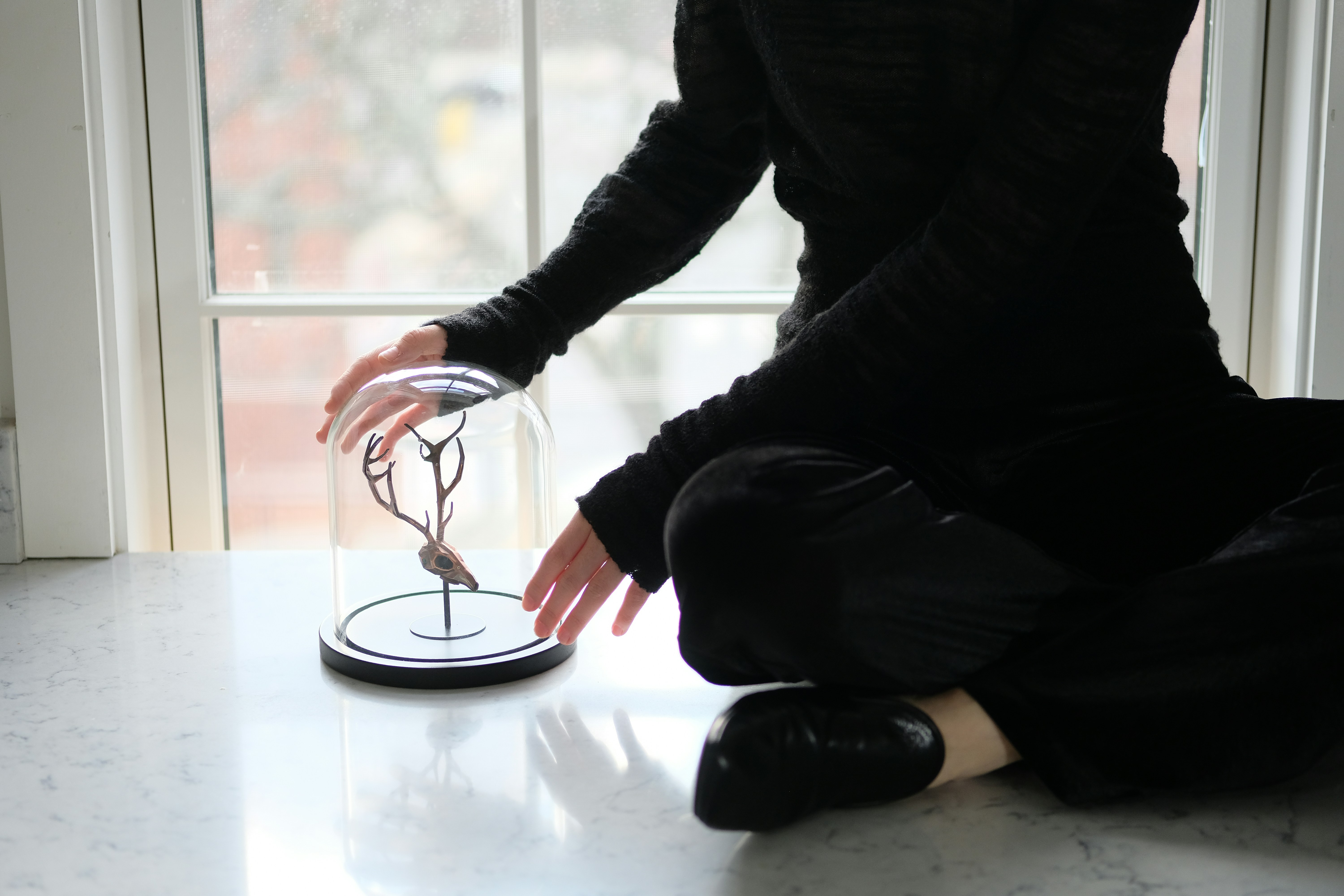 Glass Dome with Seedling: A Quiet Desk-heldbotanical Moment