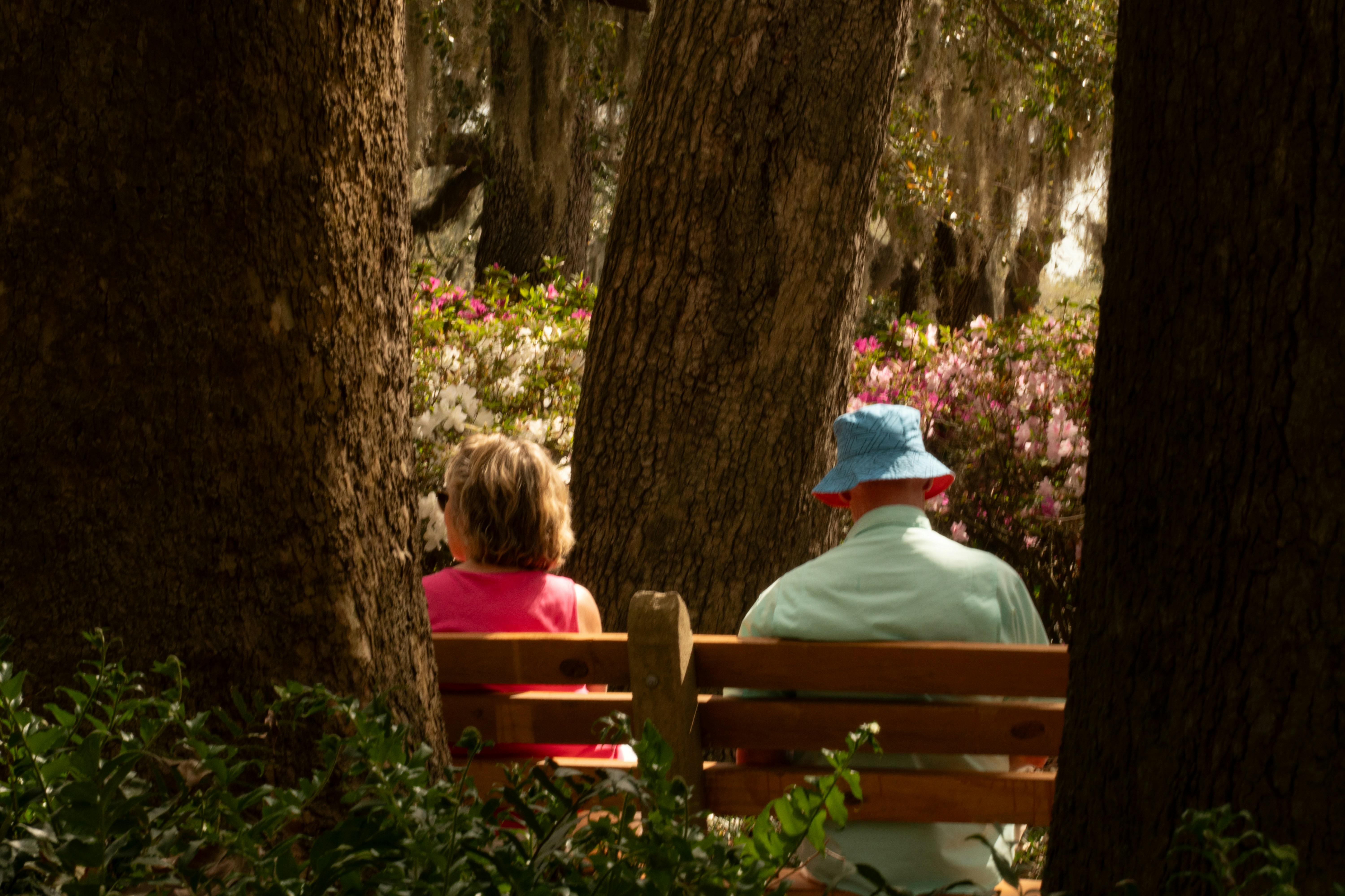 Hidden Conversation: Two Visitors in a Sunlit Garden