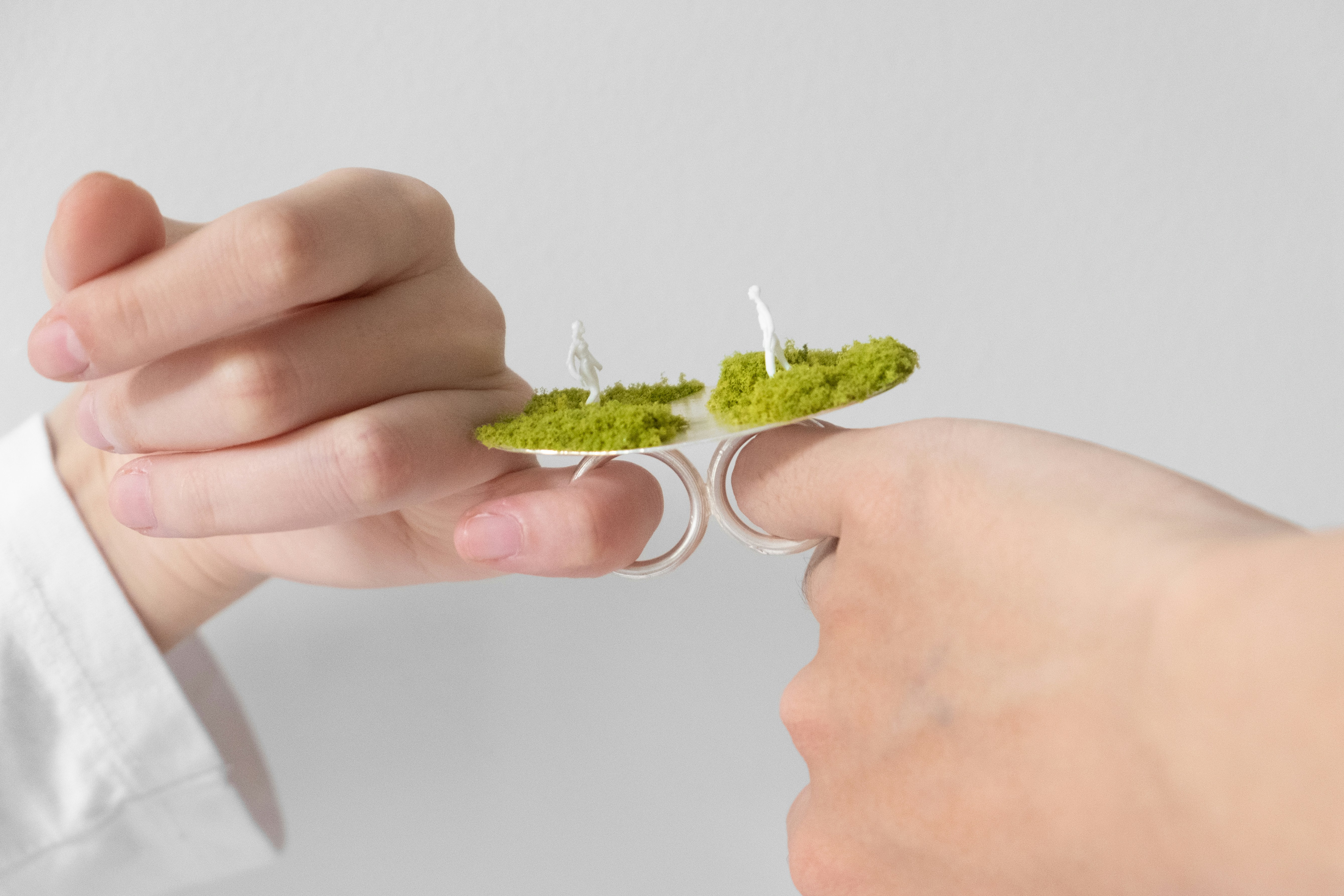 Mossy Trail Through a Delicate Seed of Connection