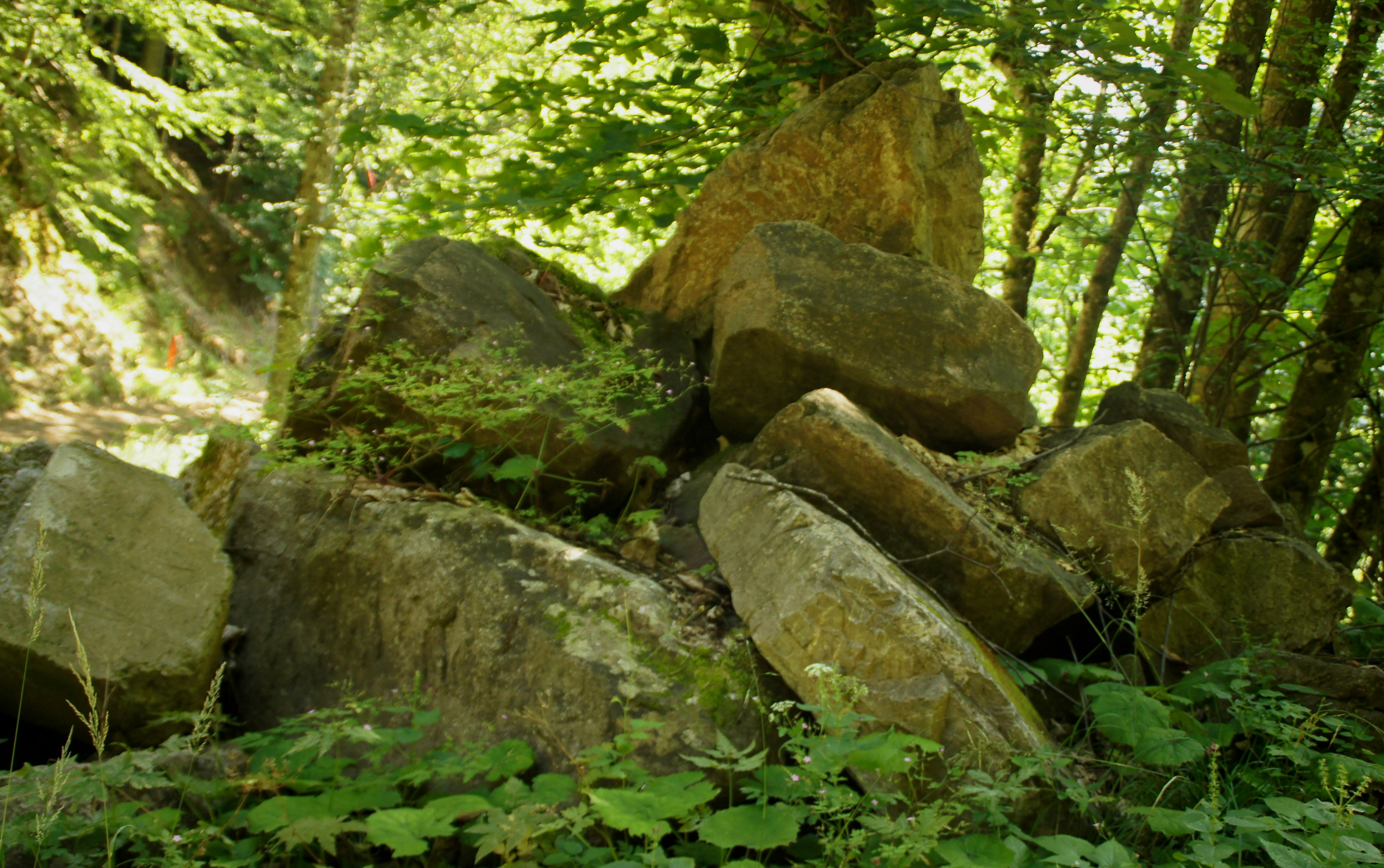 Sunlit boulder mosaic tucked in a forested hillside