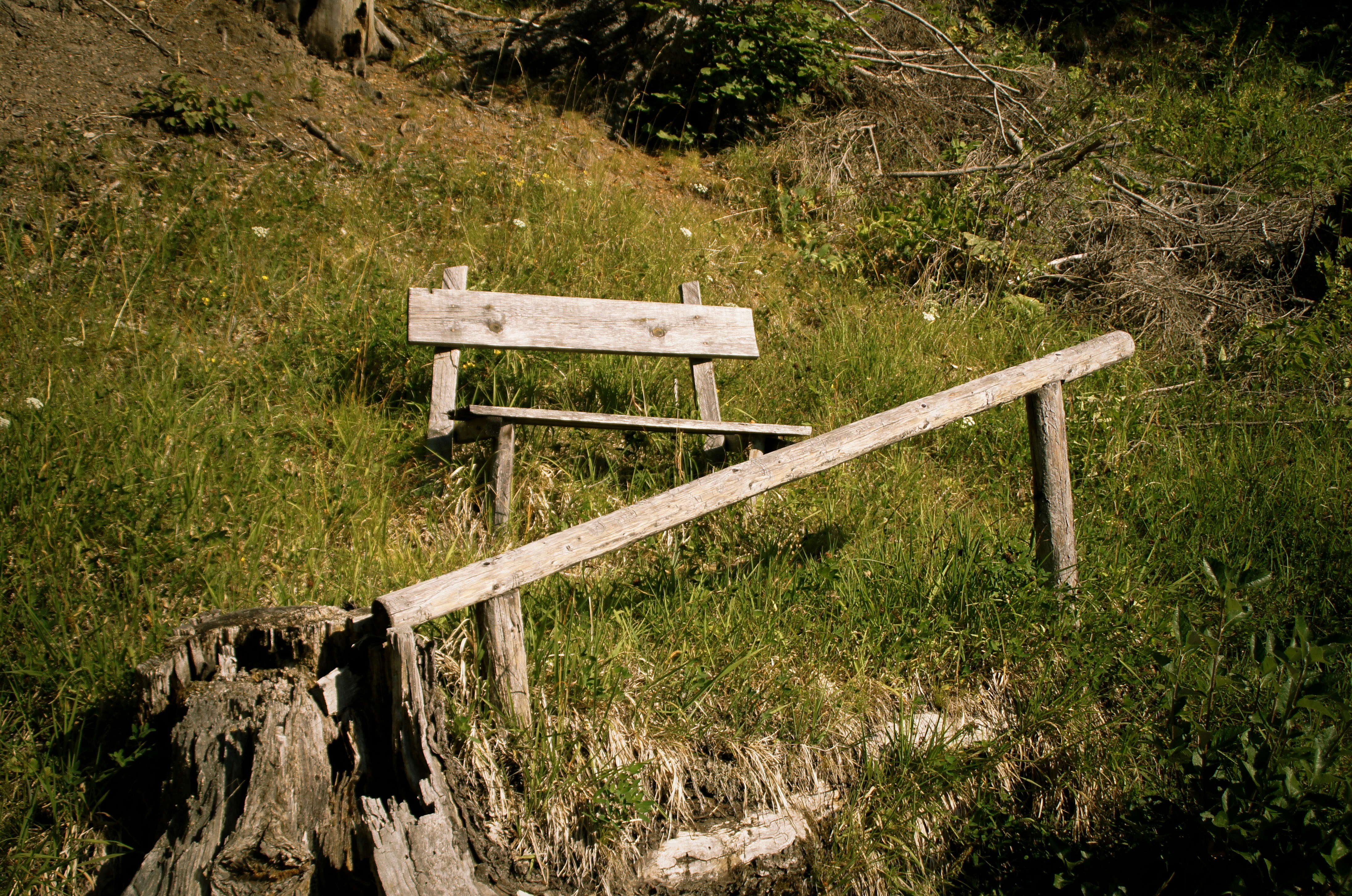 Sun-bleached railing among hillside grasses