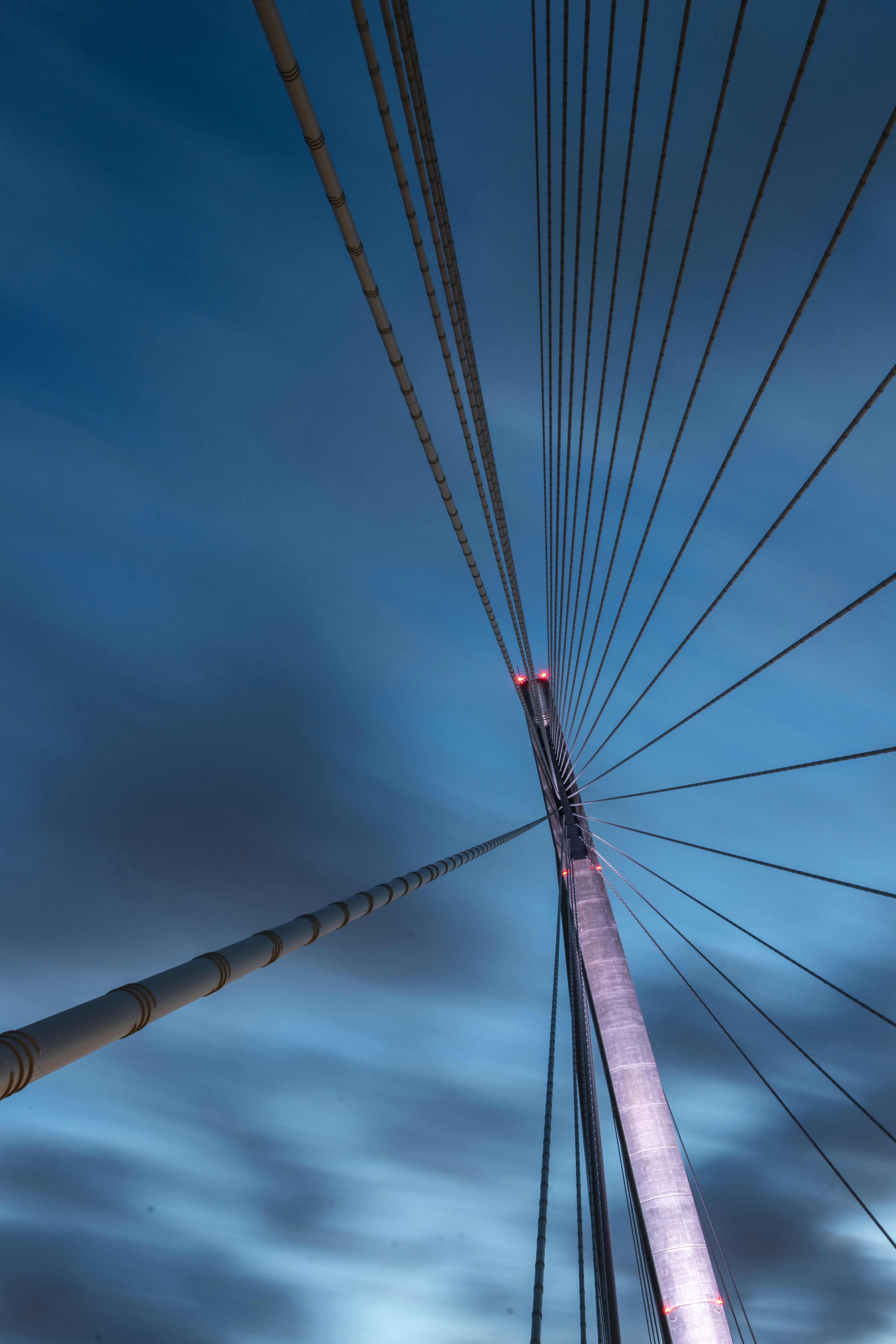 Lines Converge: A Skyward Span of Cables and Twilight Tones