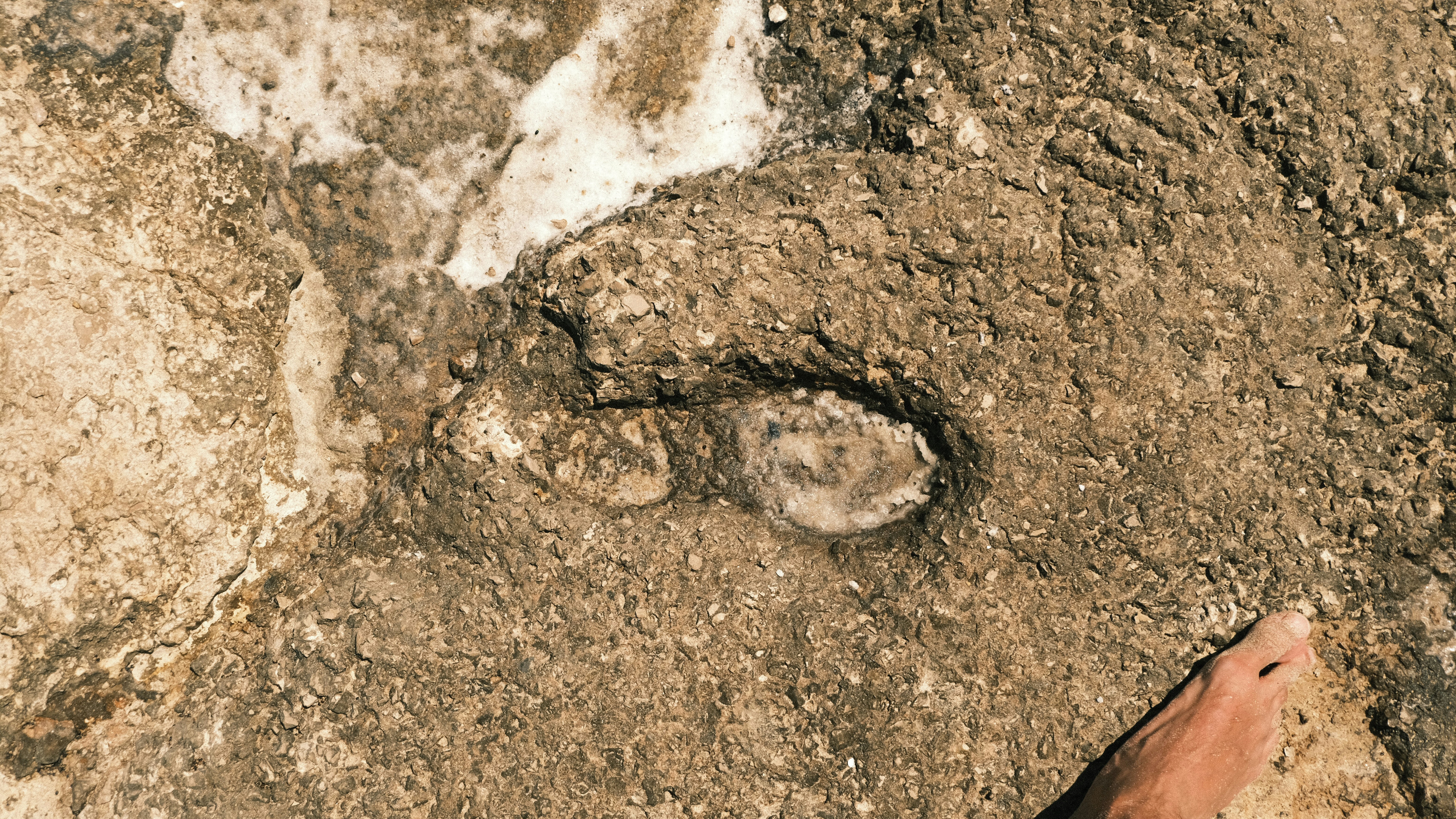 Pebbled Footprint in Desert Rock: A Subtle Trace of Passage