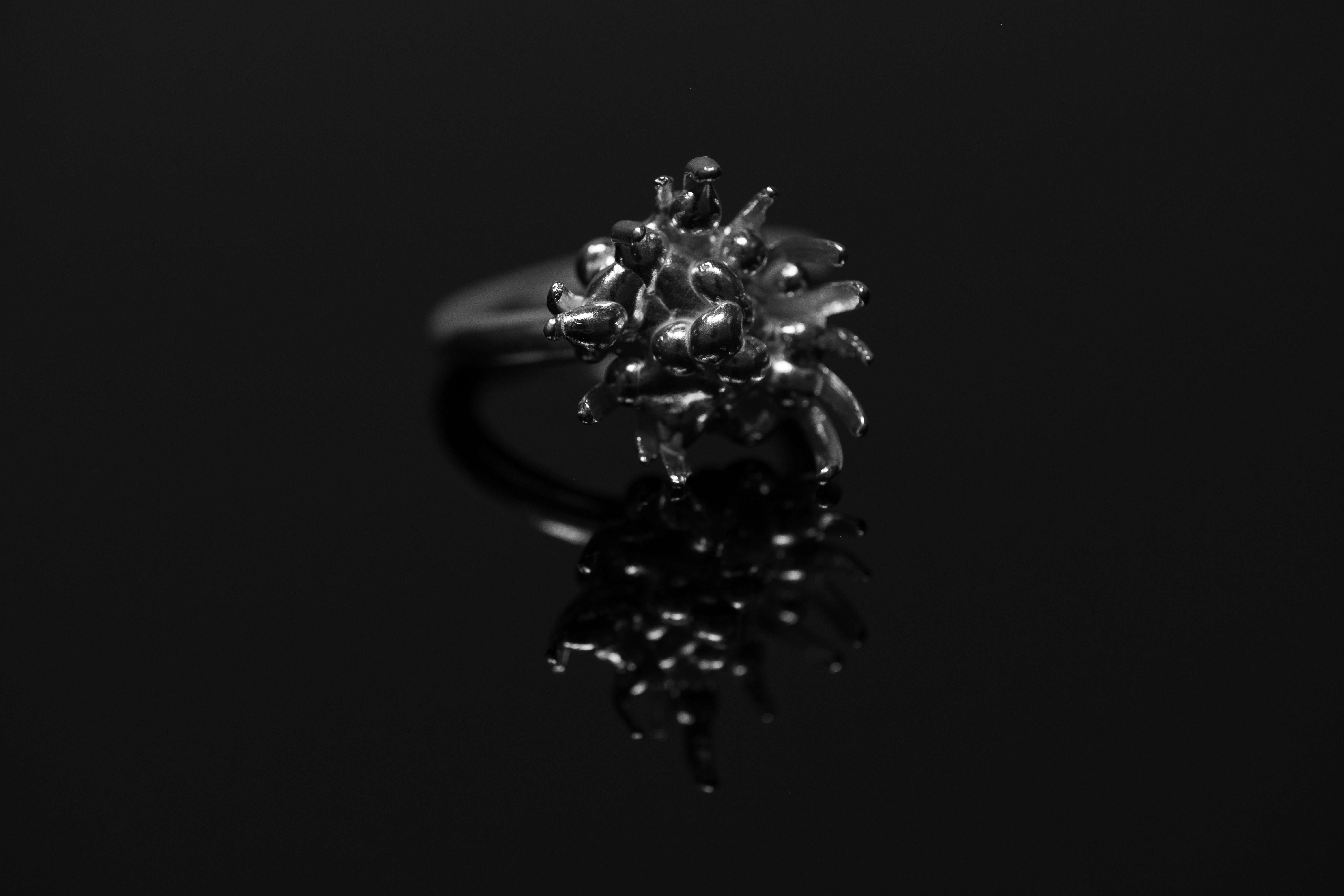 Midnight Bloom: A Gleaming Ring Revealing Its Spark