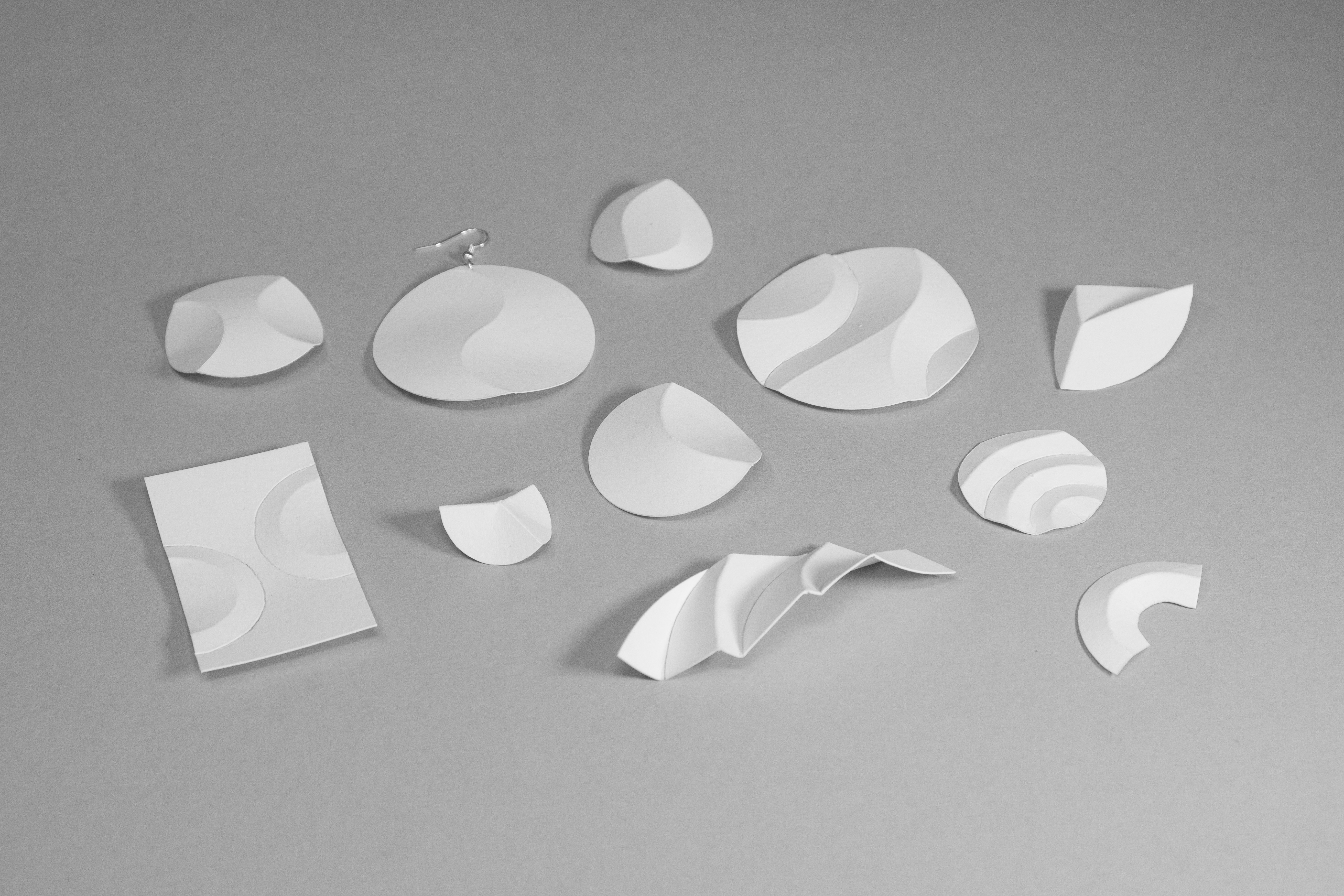 Fragments of Light: a still life of paper curves