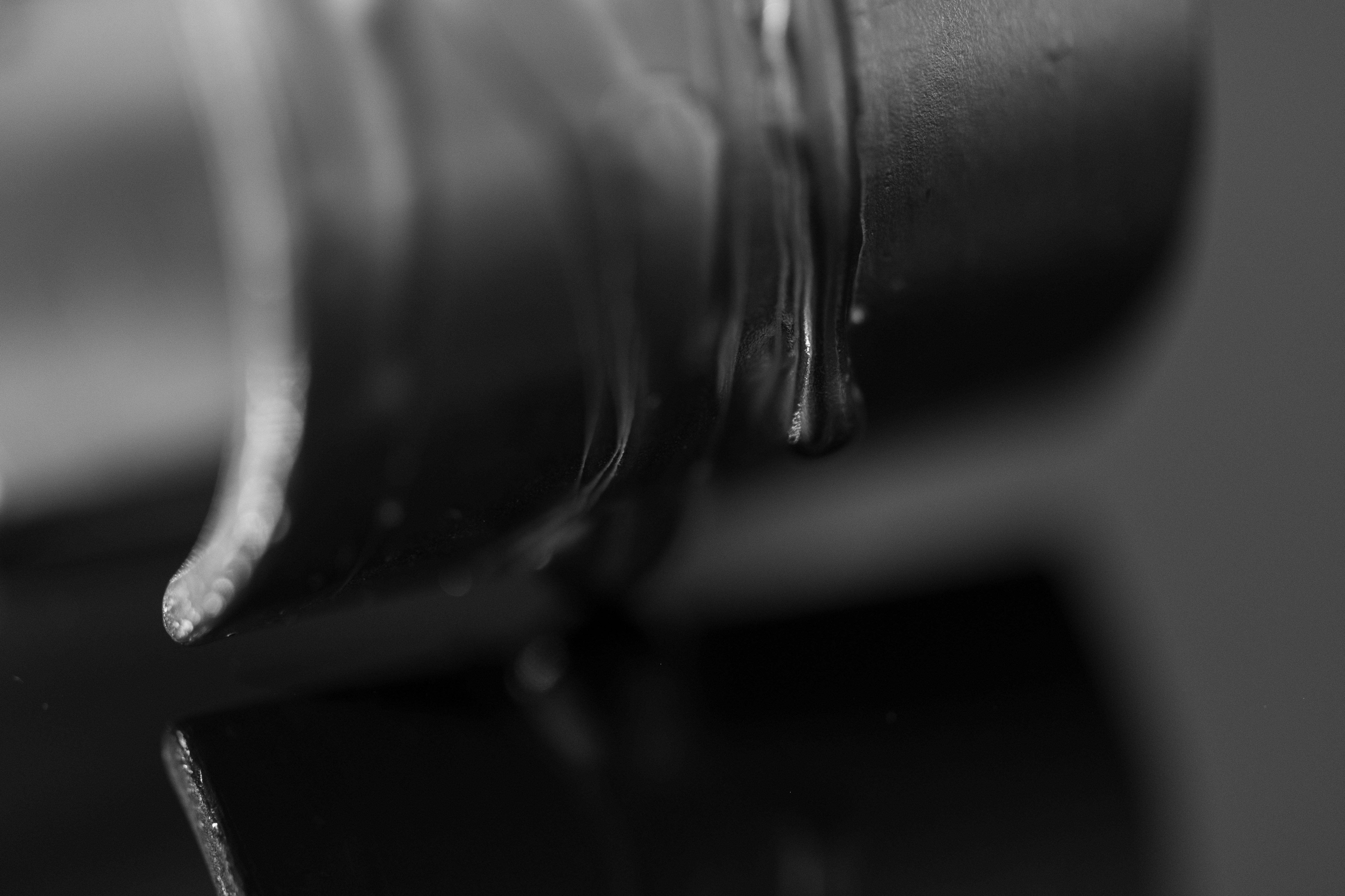Macro Moment: A Glinting Edge in Quiet Focus