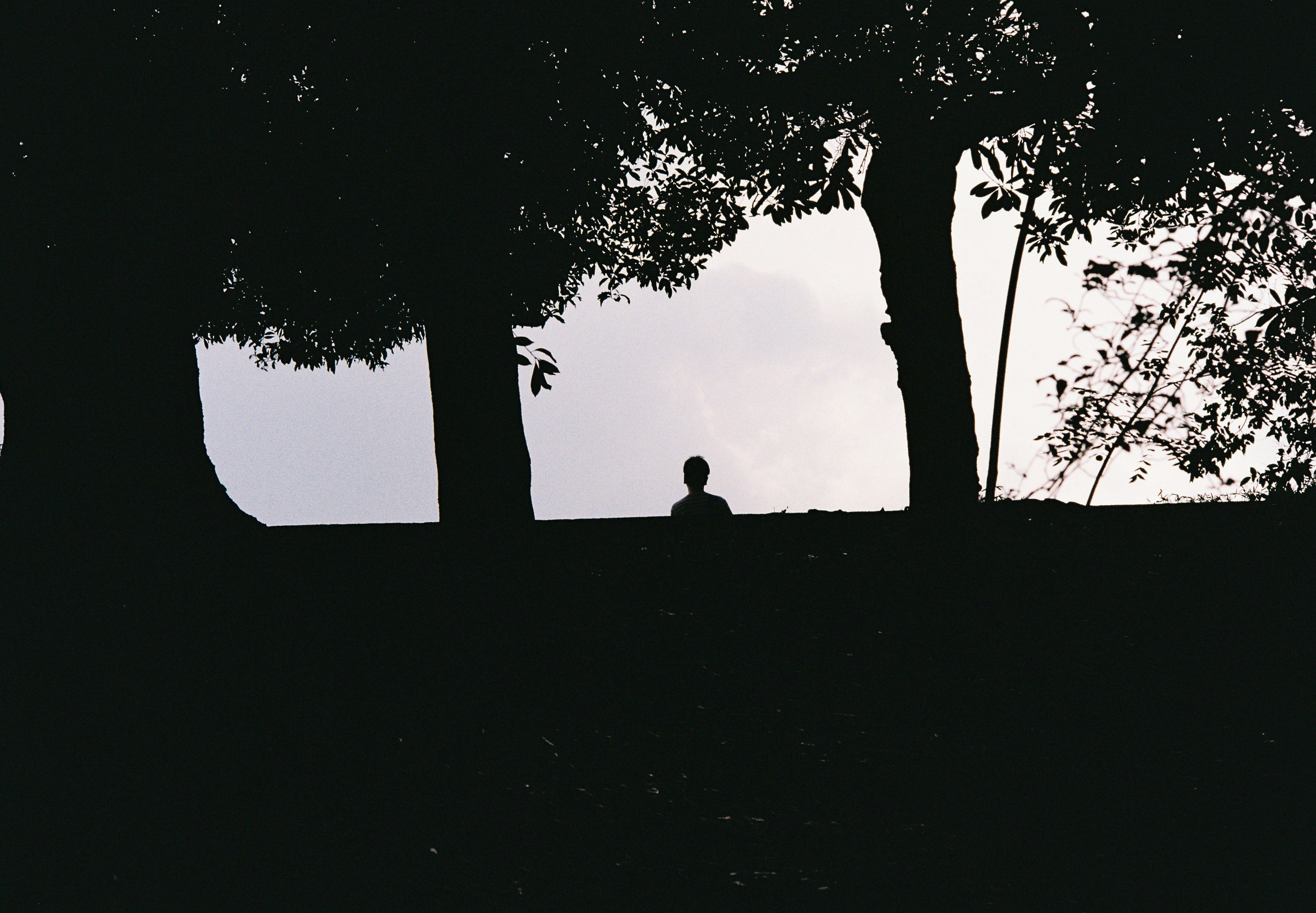 Silhouette of a lone figure perched on a horizon line framed by trees at dusk, creating a stark contrast against a pale sky. (Logo-free photograph).