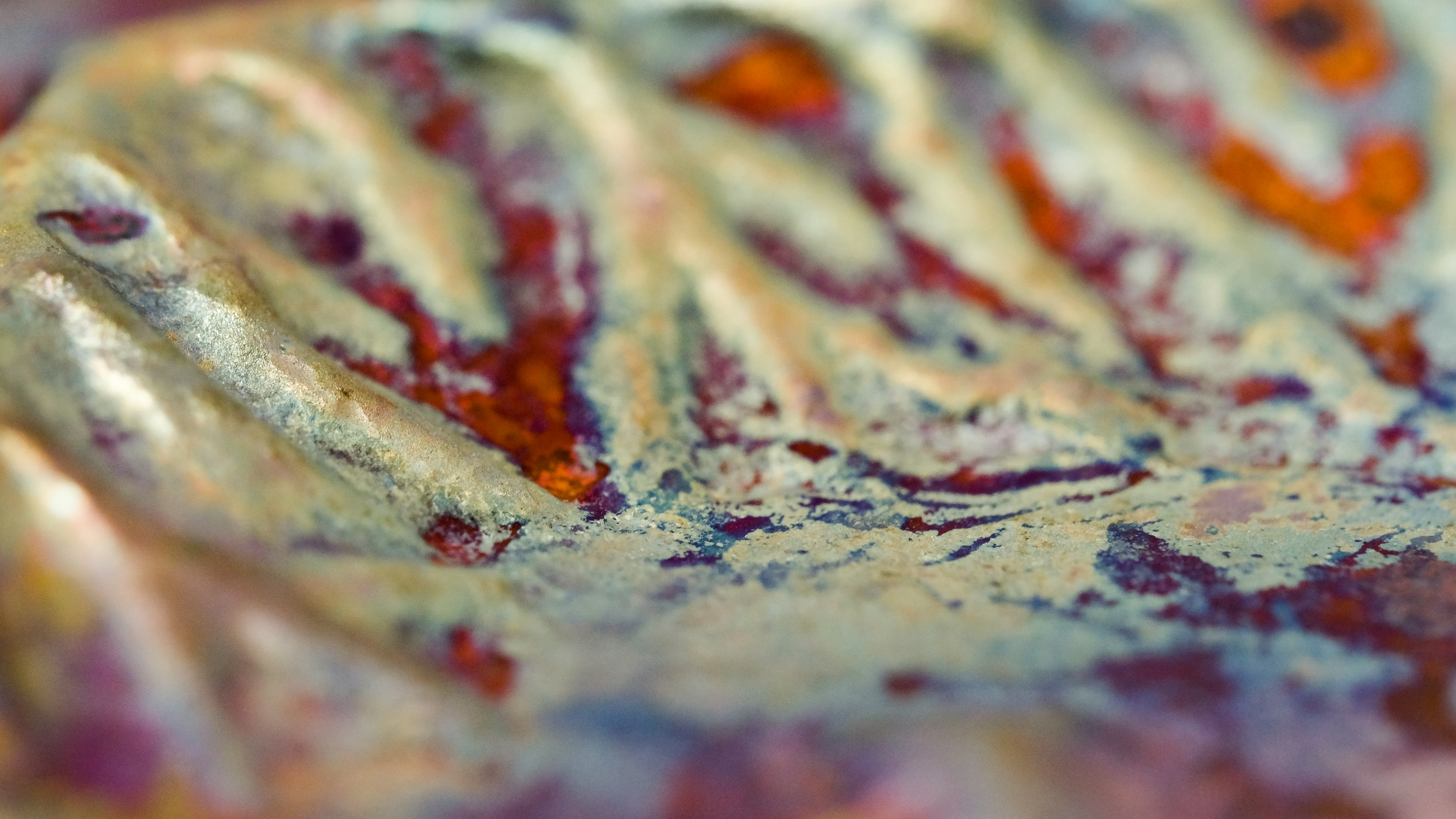 Colorful Petal Lines: A Macro Study of Texture and Vein