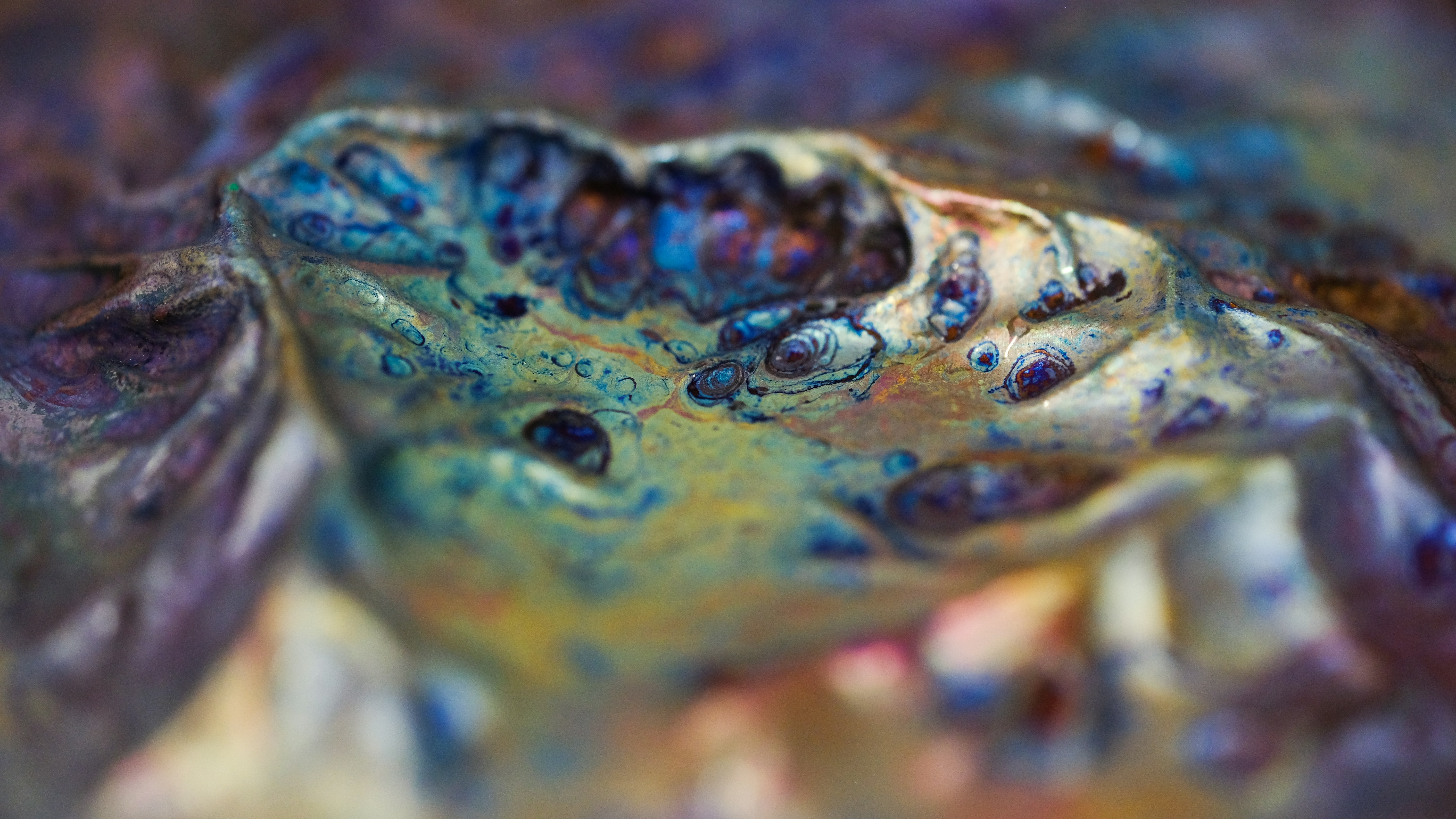 Iridescent Labyrinth: A Close Peek into Painted Pits