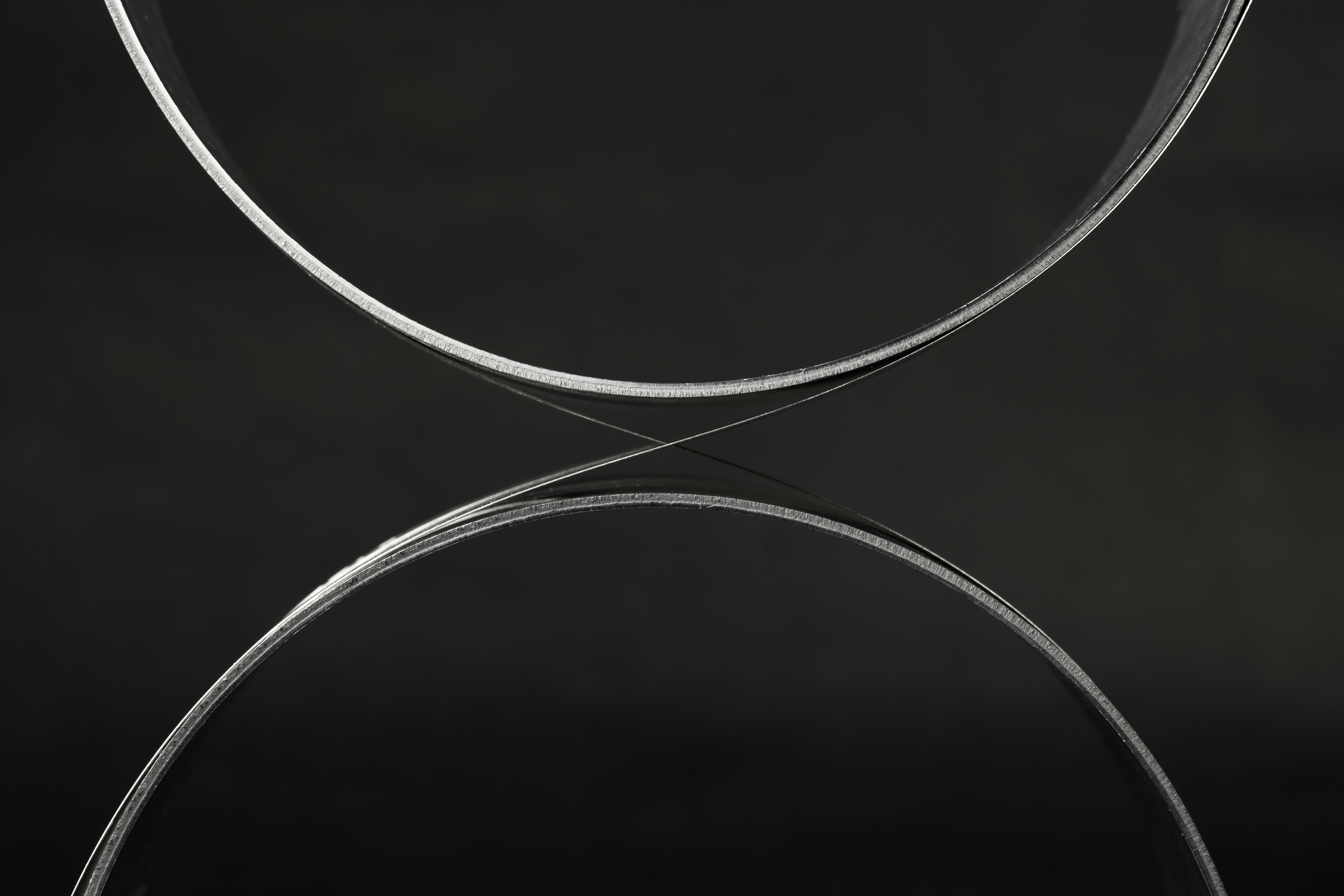 Concentric Echoes: A Minimalist Dialogue Between Circles