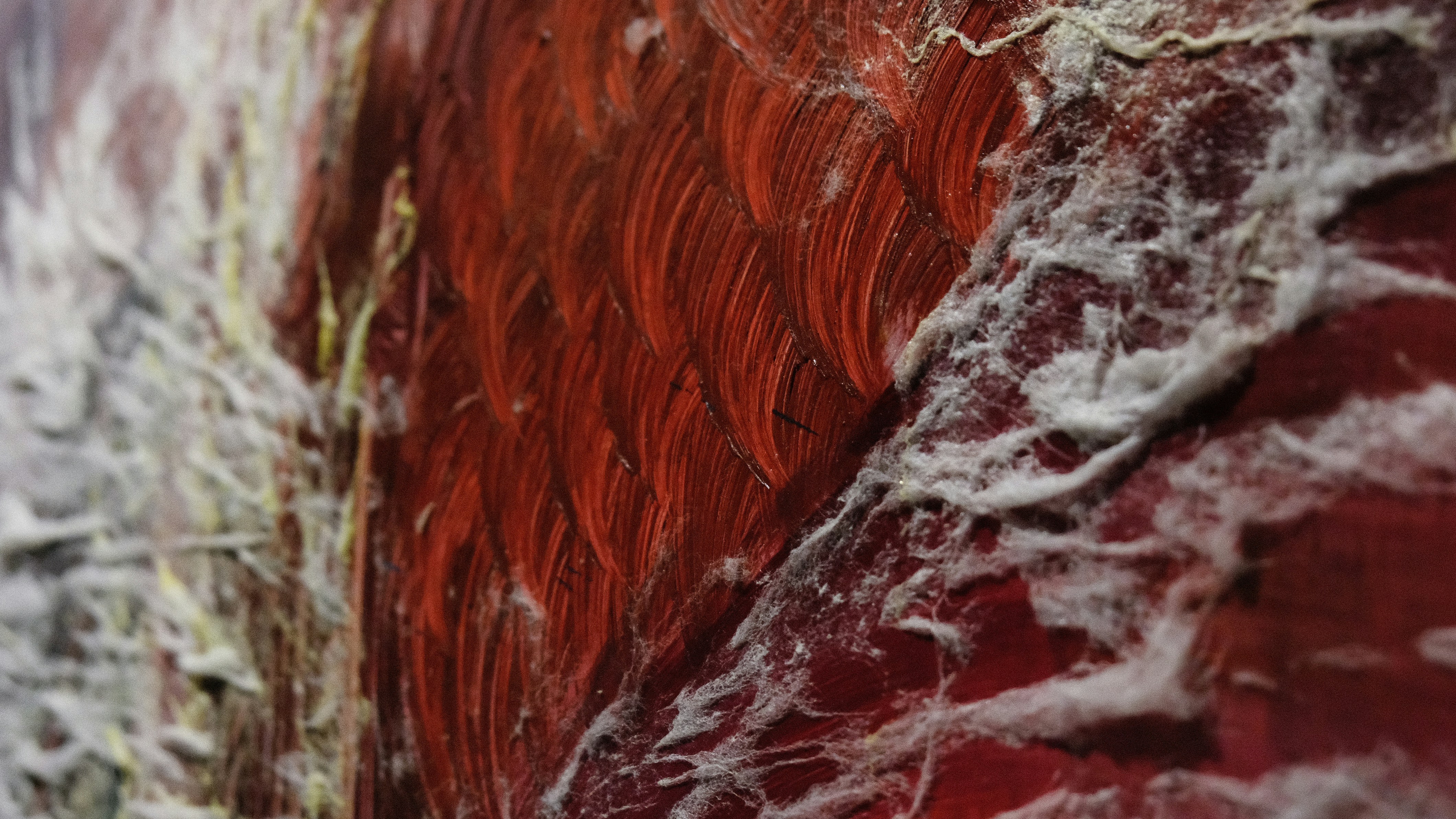 Crimson Scales in Frost: A Close-Up of Textured Plumage Under Ice-Ced Snow