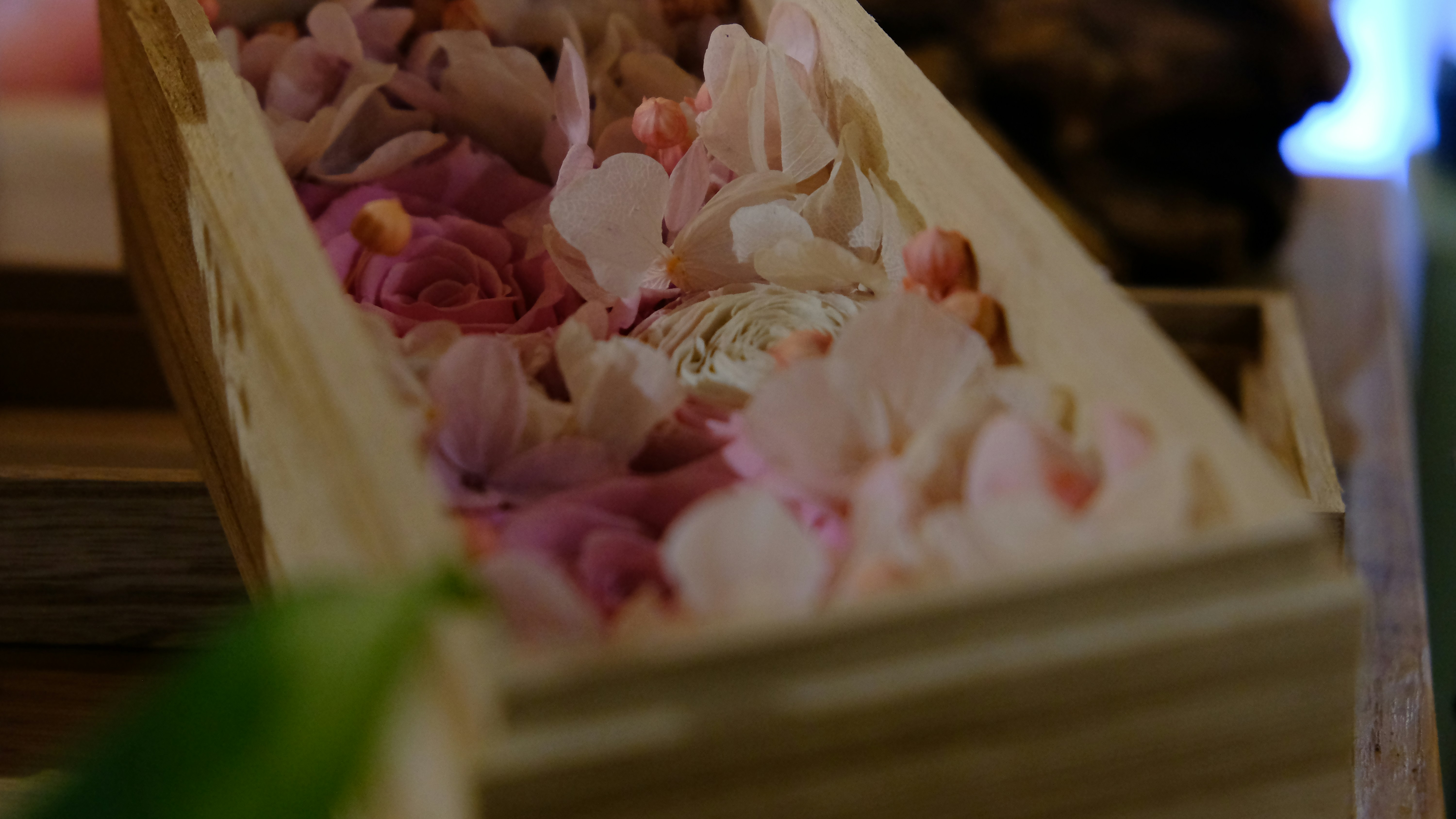 Petals in a Wooden Cascade: A Slanted Vase of Soft Bloom