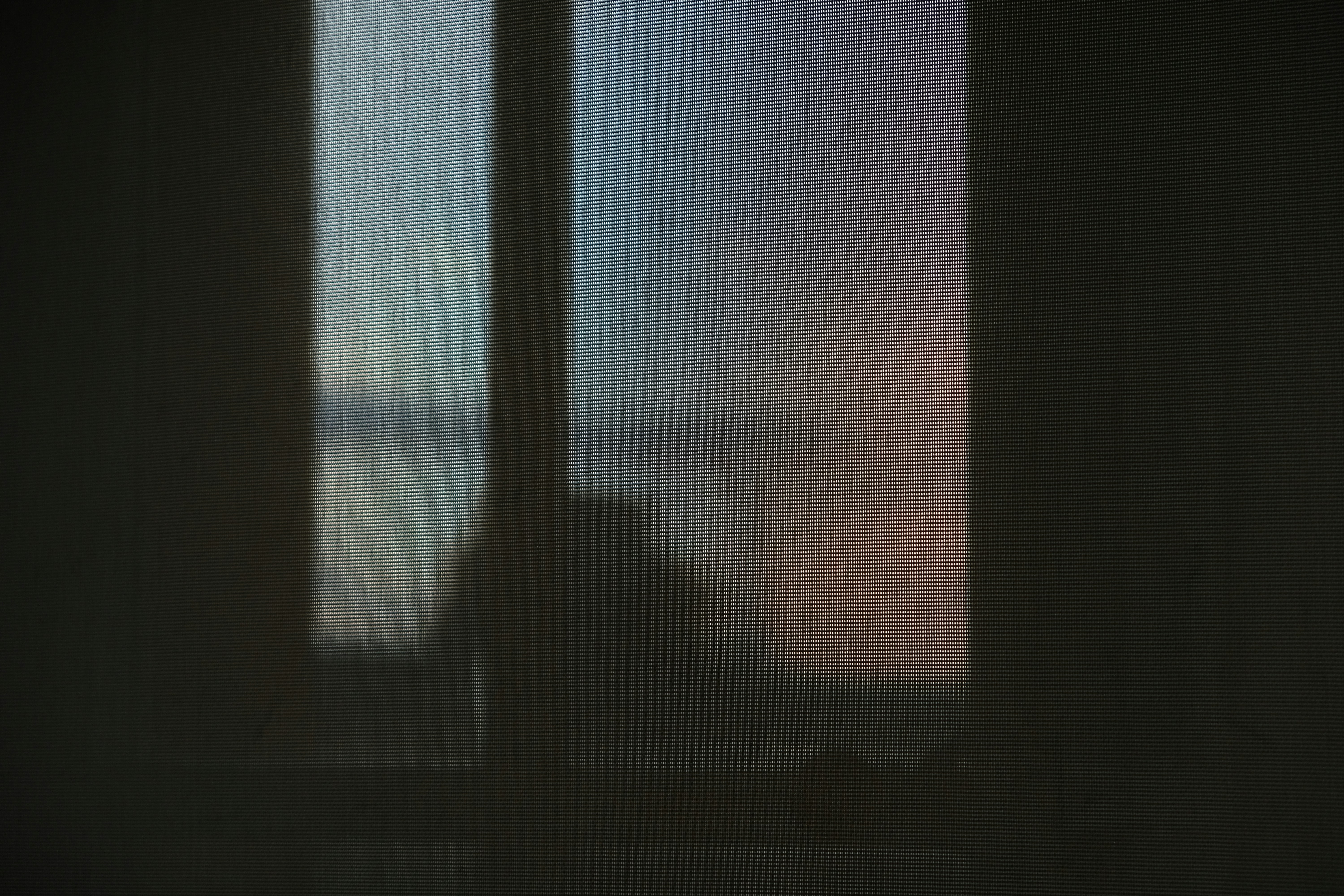 Silhouette at the Window: Quiet Light Through Mesh