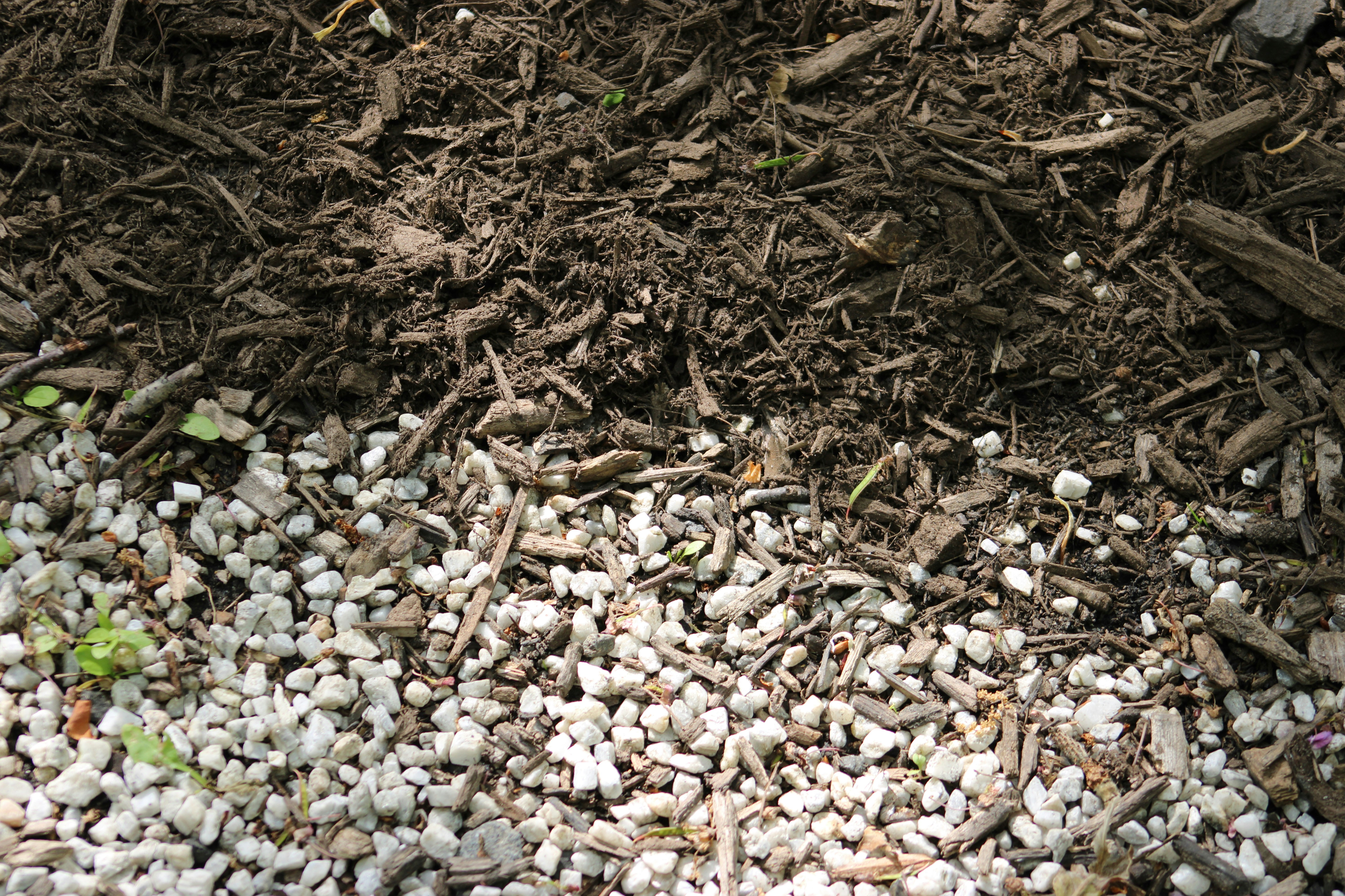 Gravel and Wood Chips at the Edge of Mulch