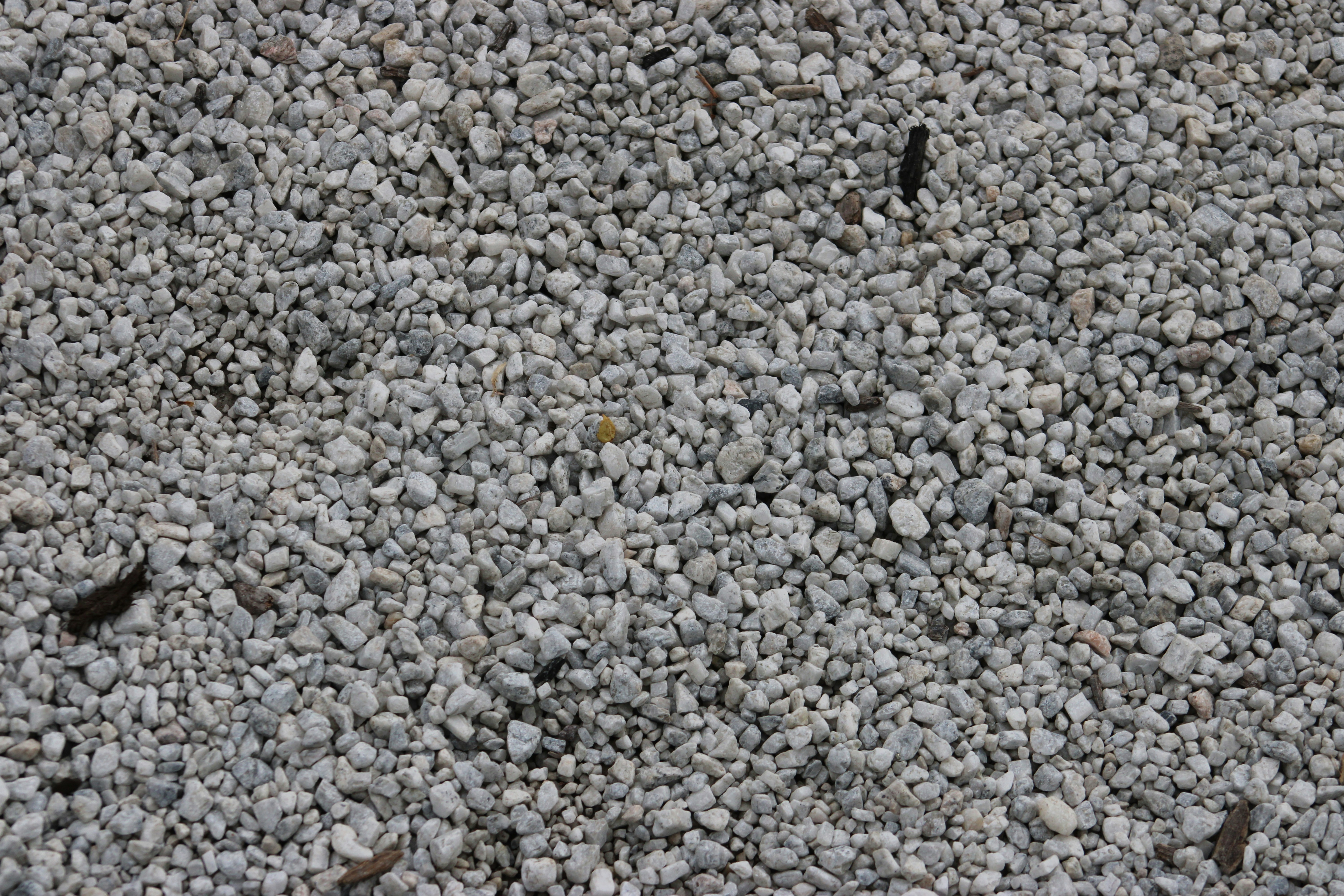Grain Field: Close-Up of Pebbled Ground