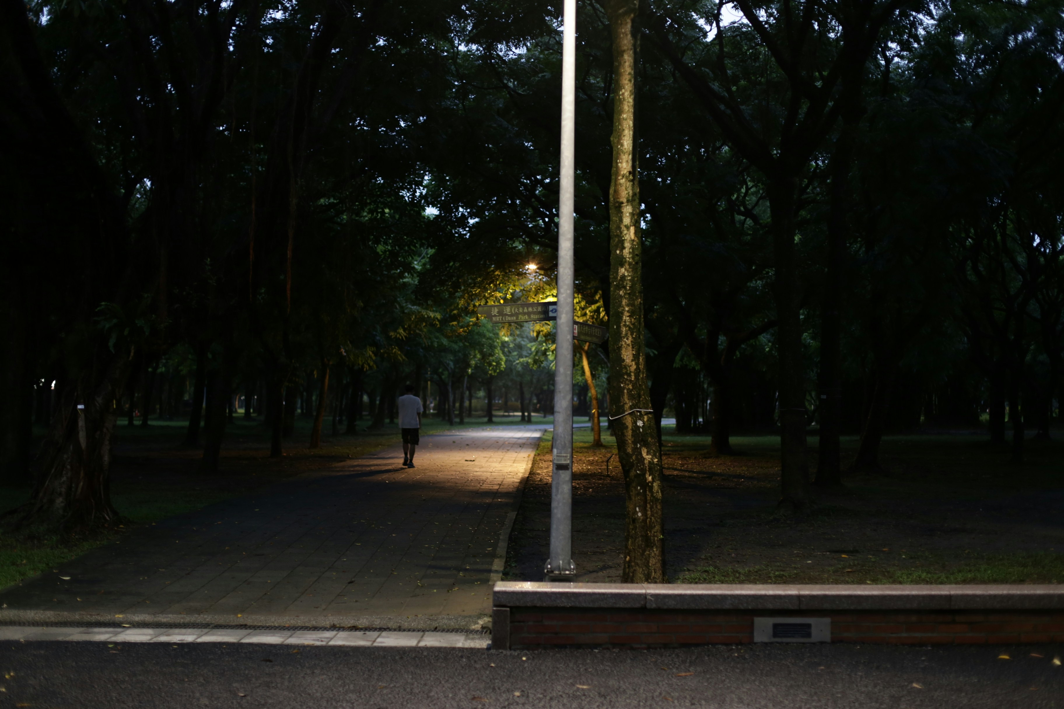Quiet Night Stroll Under a Streetlamp in the Park
