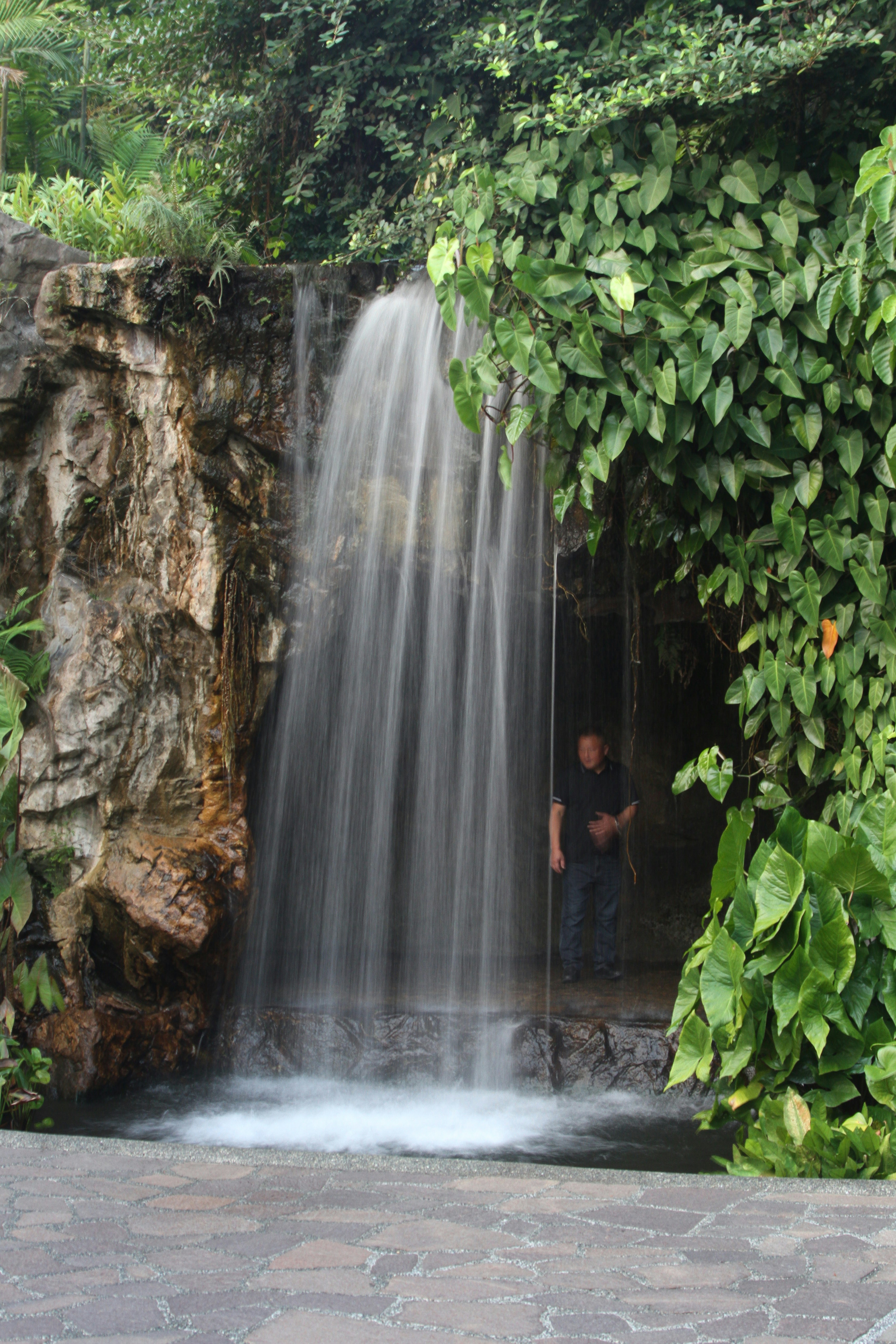 Hidden temple of mist: a waterfall doorway guarded by lush vines
