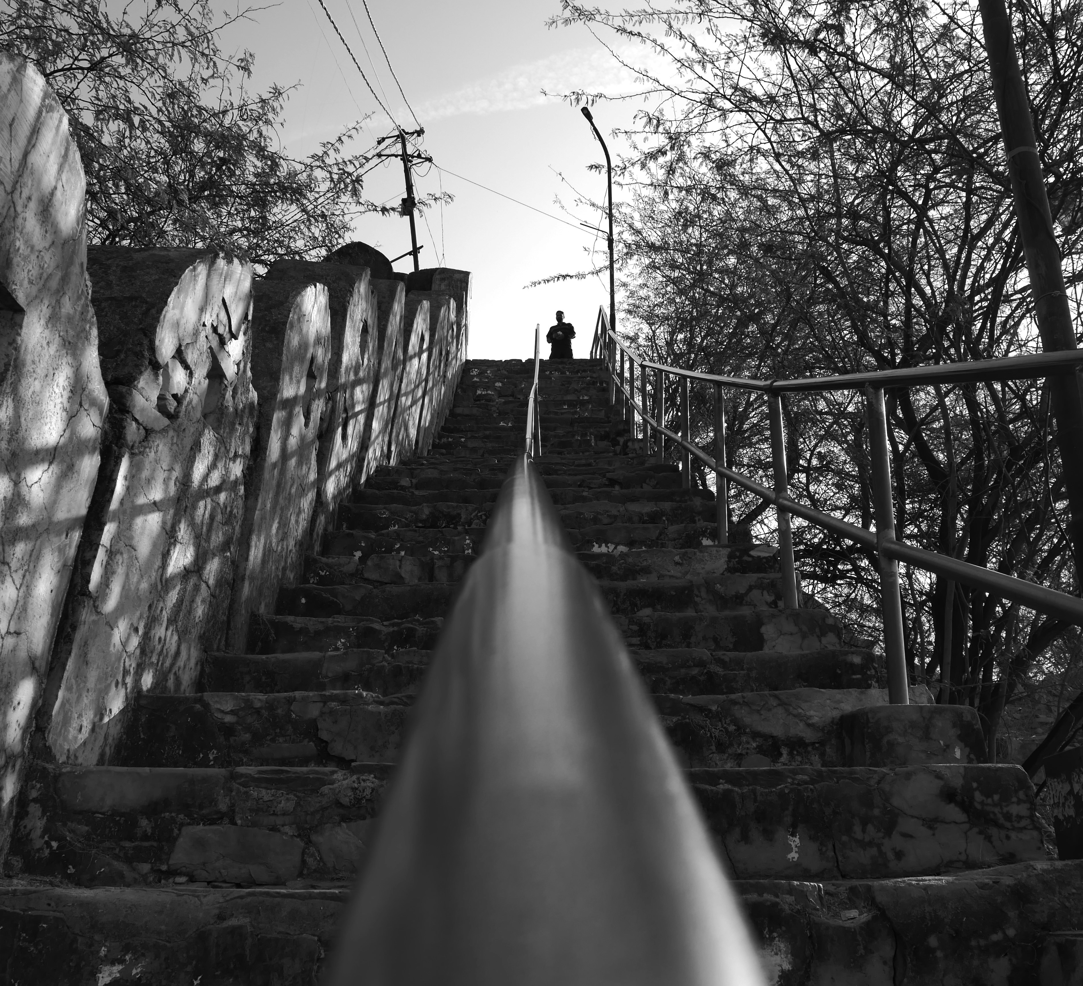 Risers to the Light: A Silhouette at the Summit