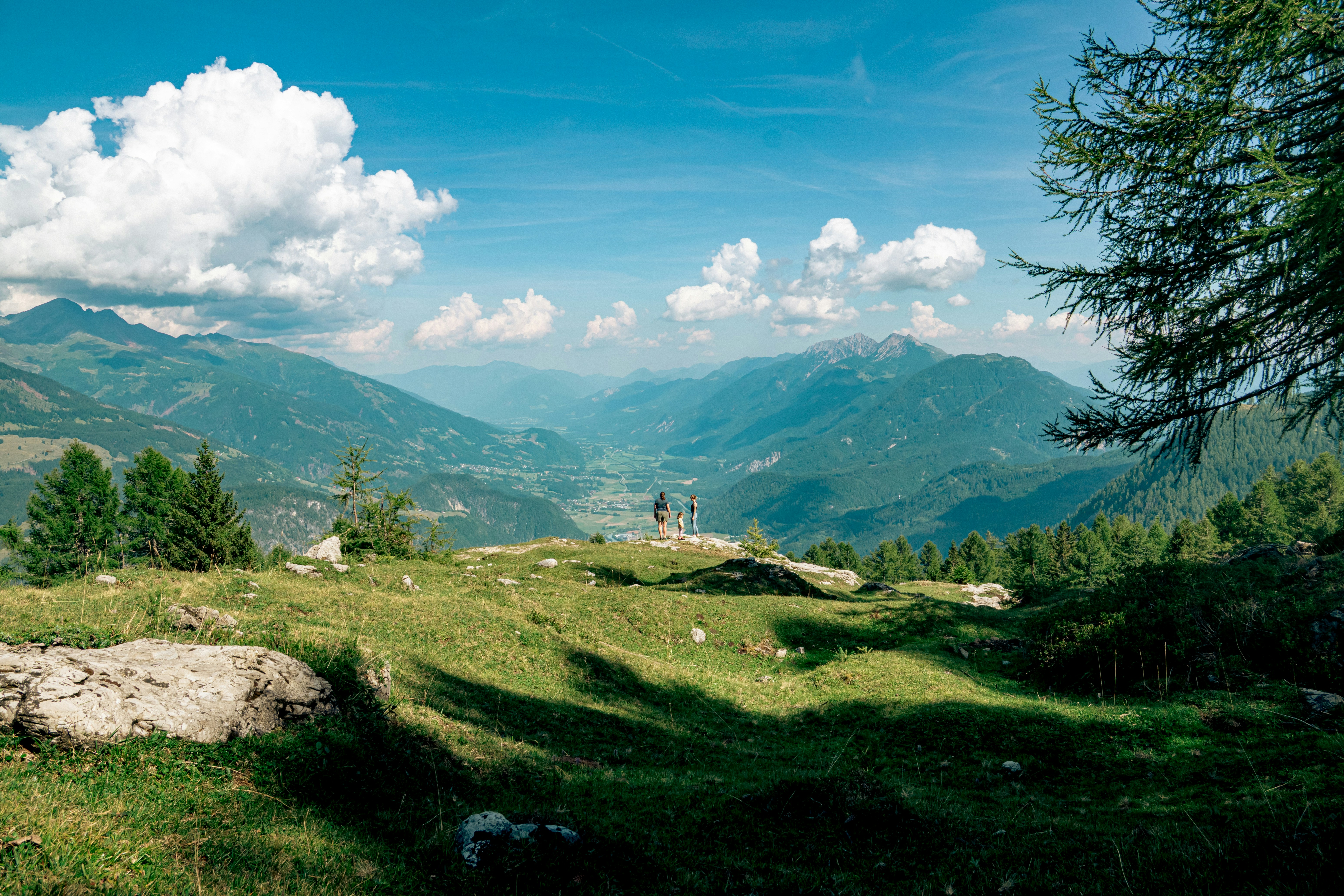 Looking toward the Alpine Ridge: a sunlit meadow under a vast sky