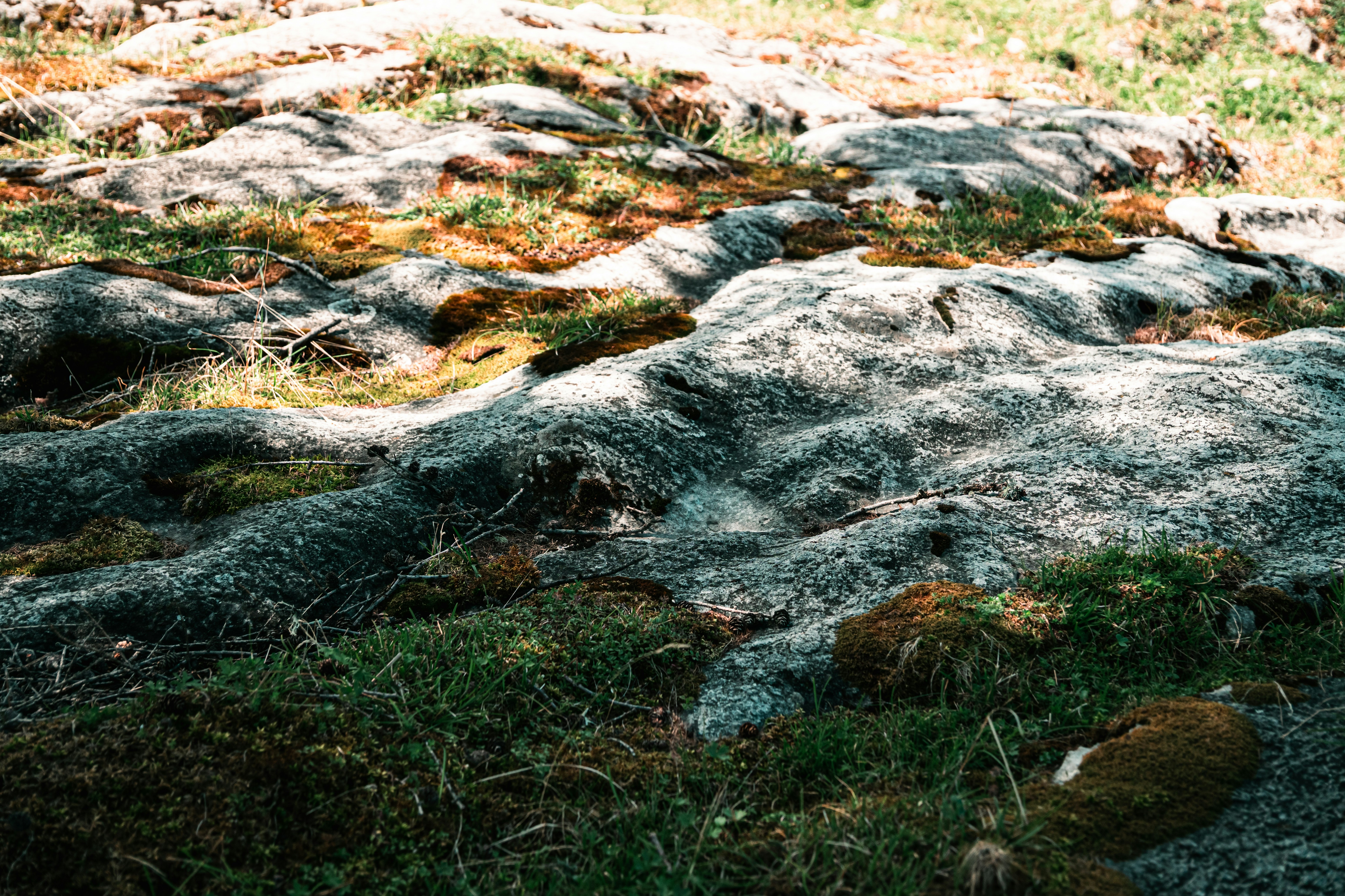 Rugged Granite Terrain: Mossy Outcroppings in Sunlit Clearing