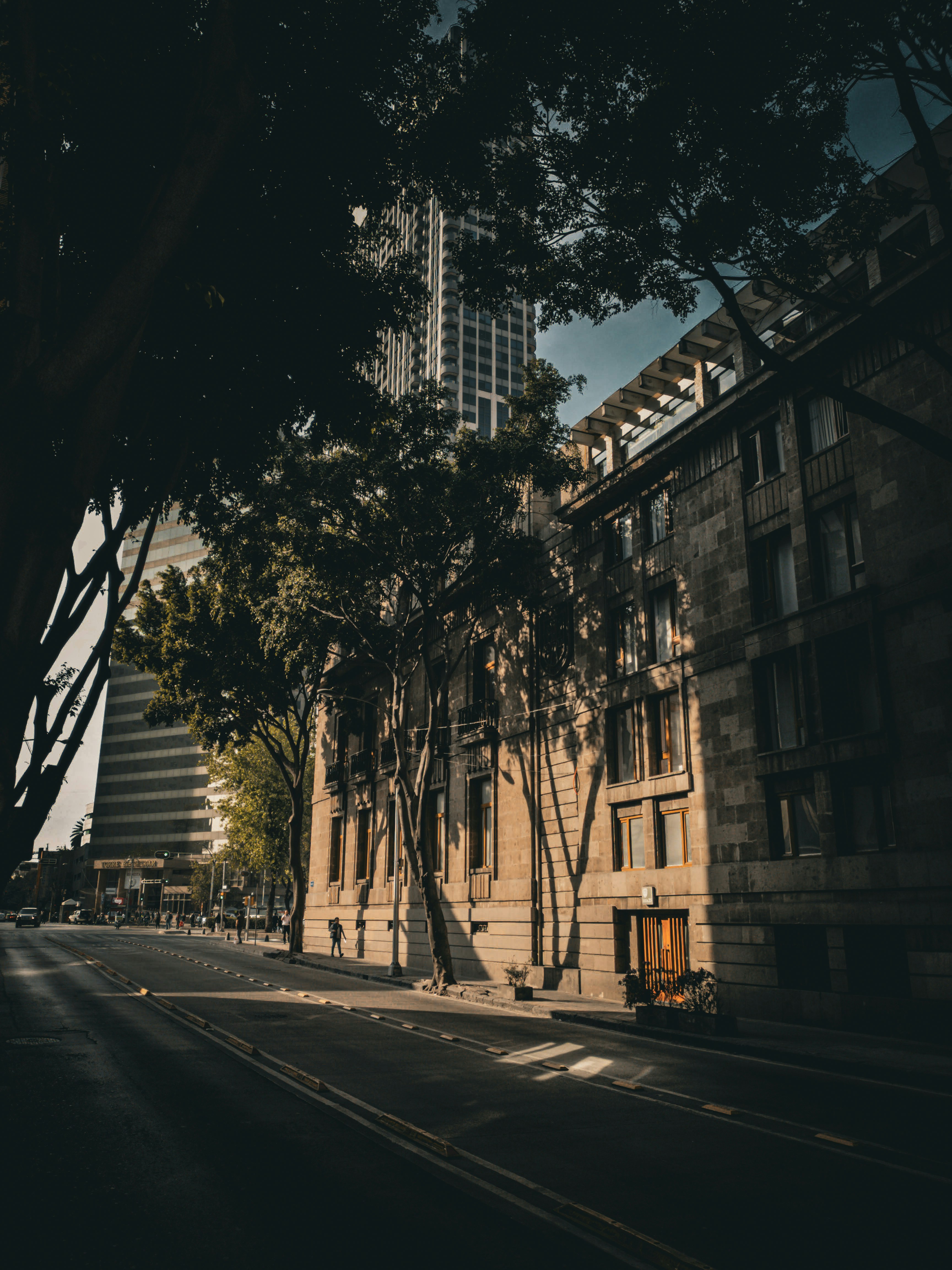 Stone Facade Echoes: A City Street in Shadow and Light
