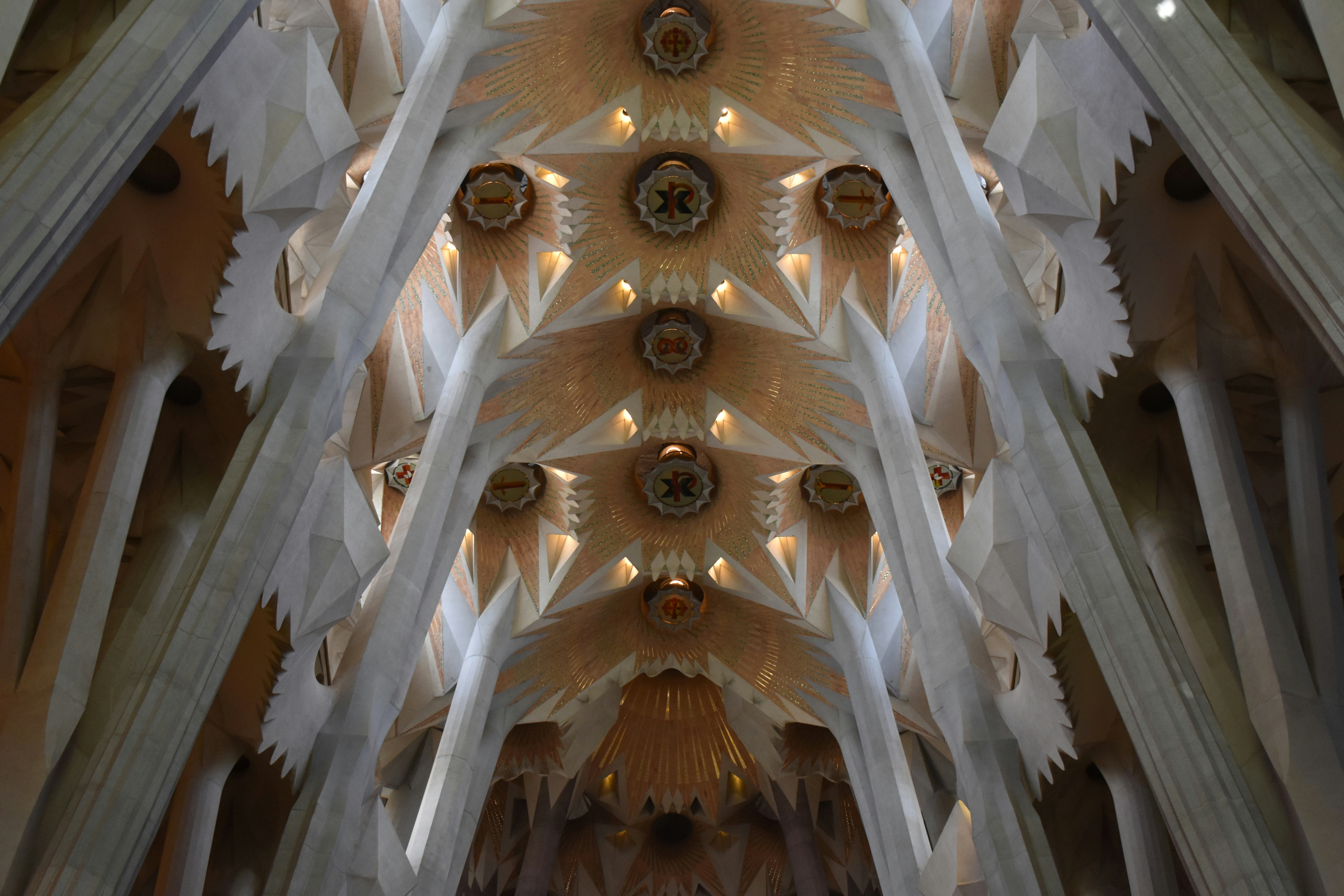 Stone Cathedral of Ribs: A Symmetry of Sacred Arches