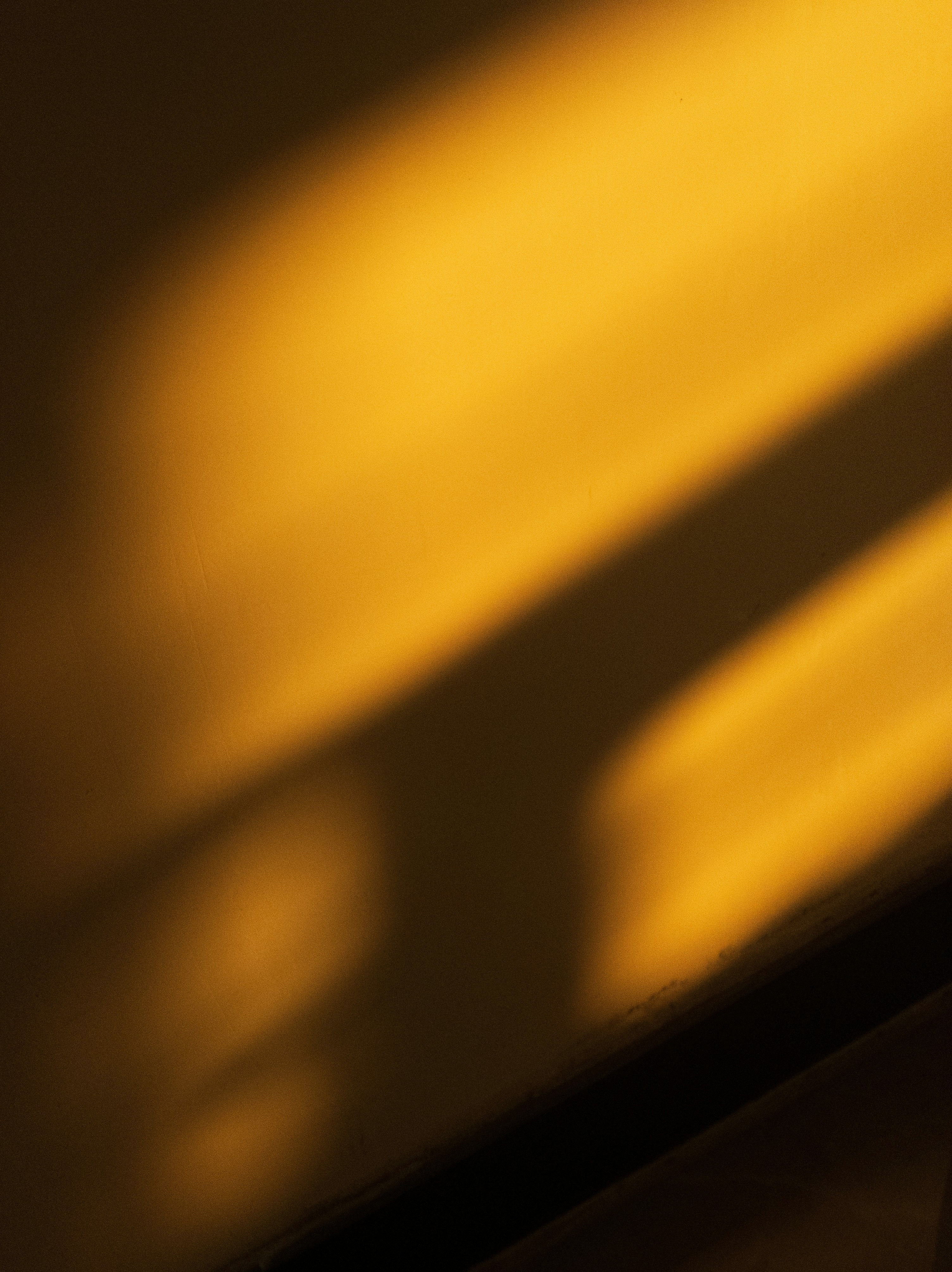 Golden Shadows on a Quiet Wall