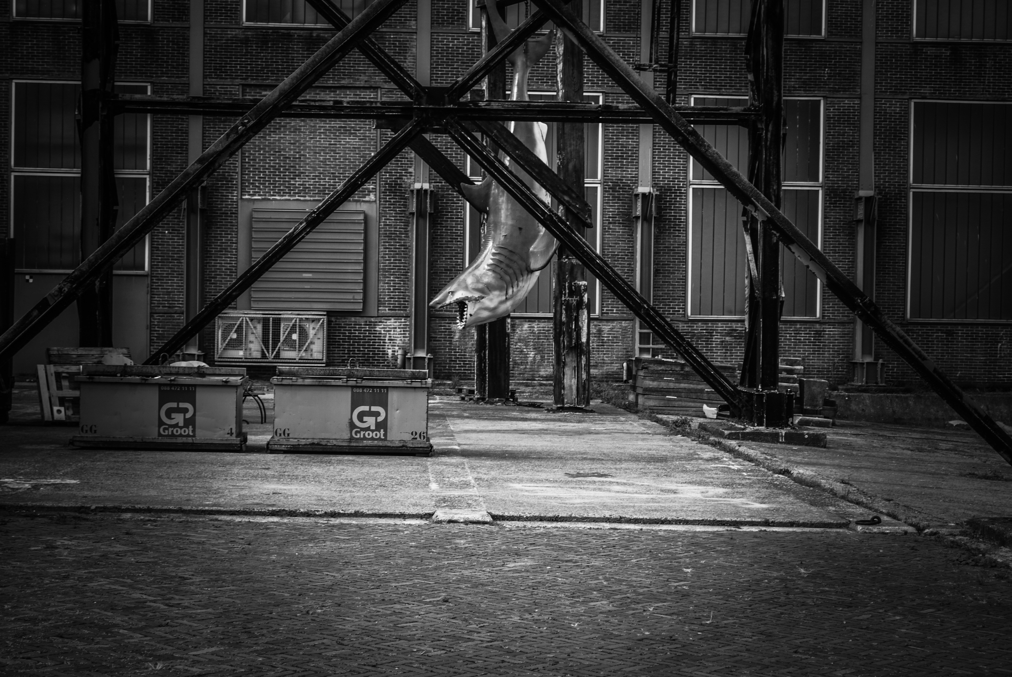 Rooftop Silence: A Bird in a Steel Frame Between Industrial Gates