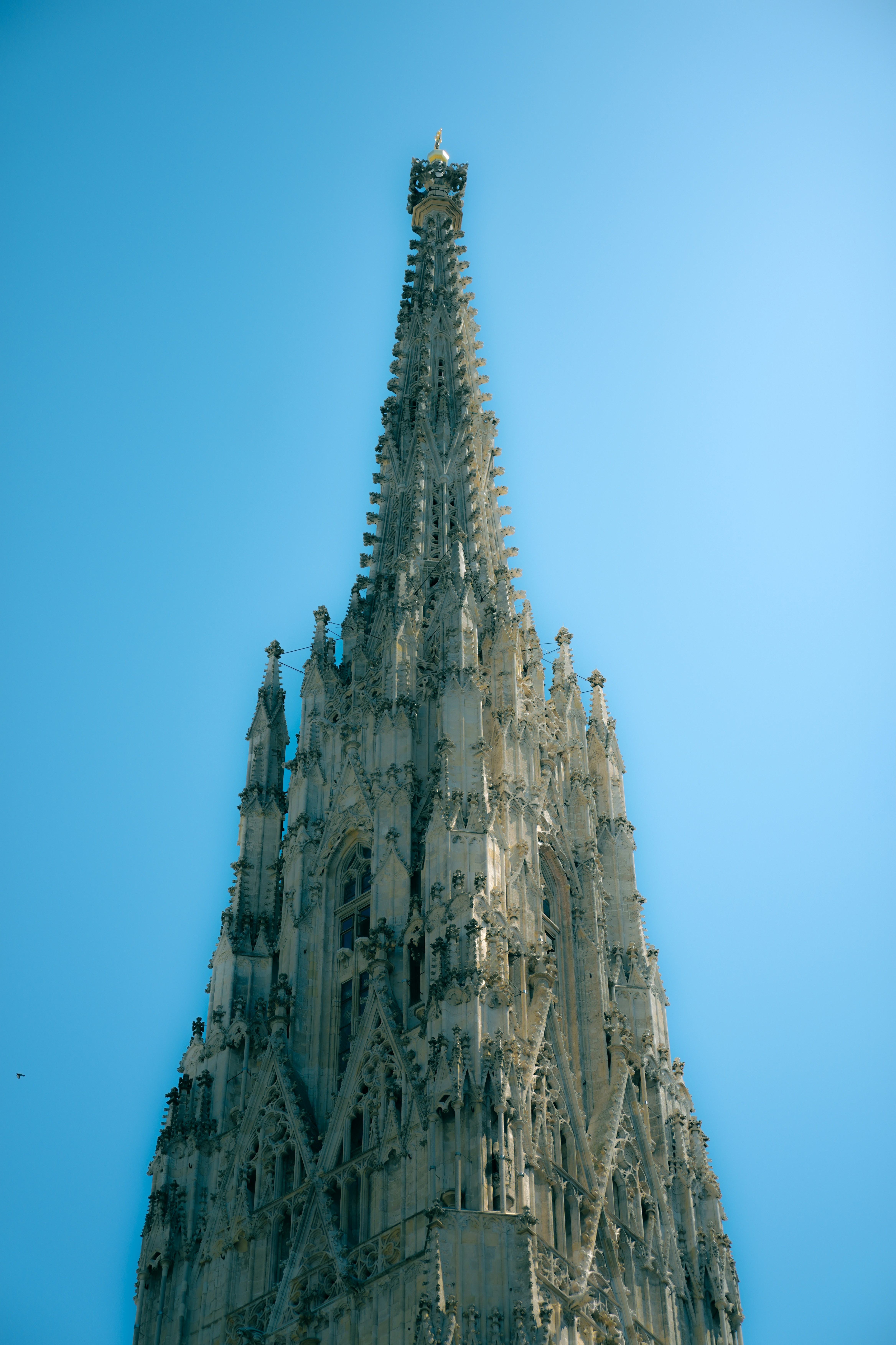 Spire of marble lace: a soaring Gothic pinnacle against a crisp blue sky