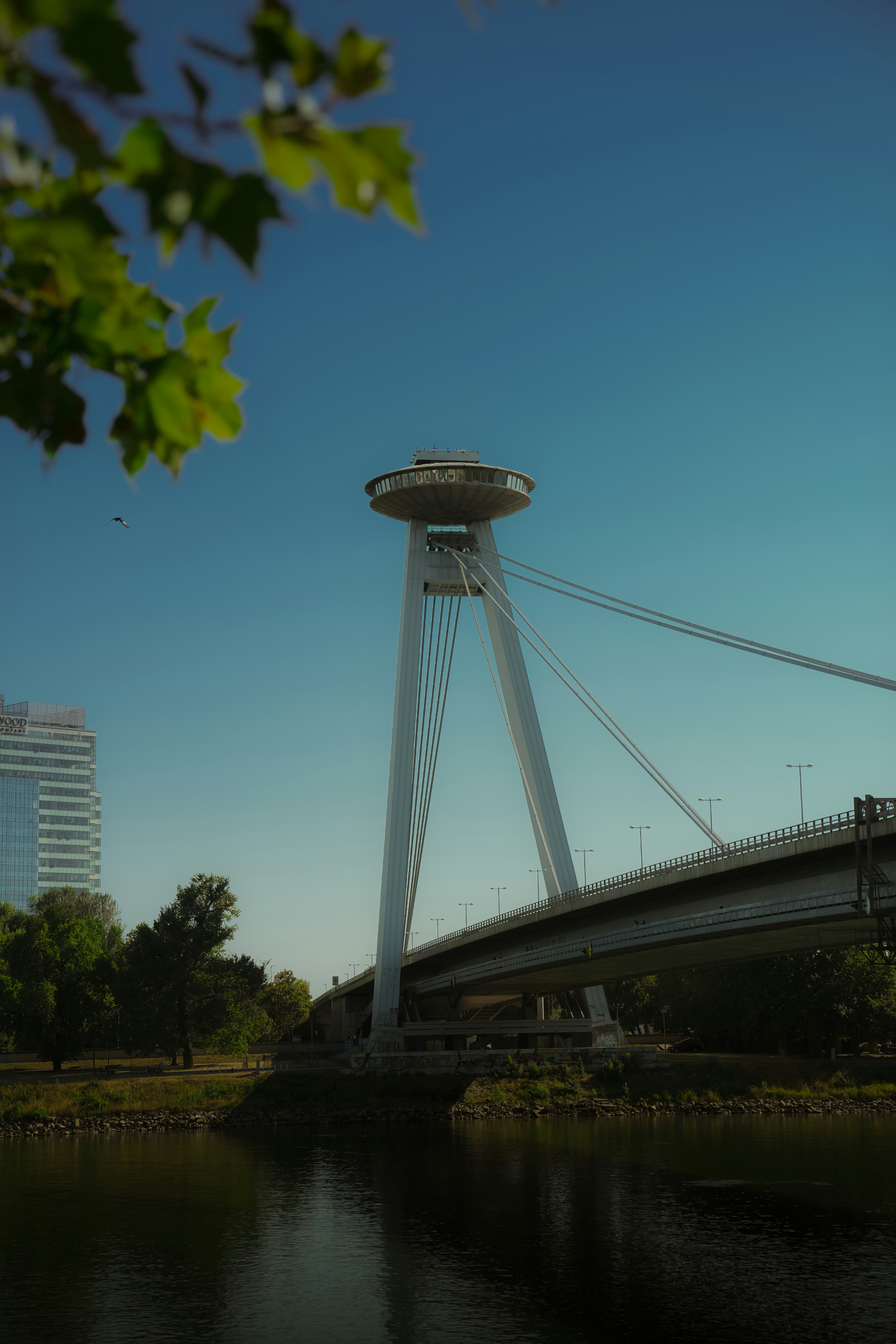Urban Cable-Bridge Tower Framed by Riverbank