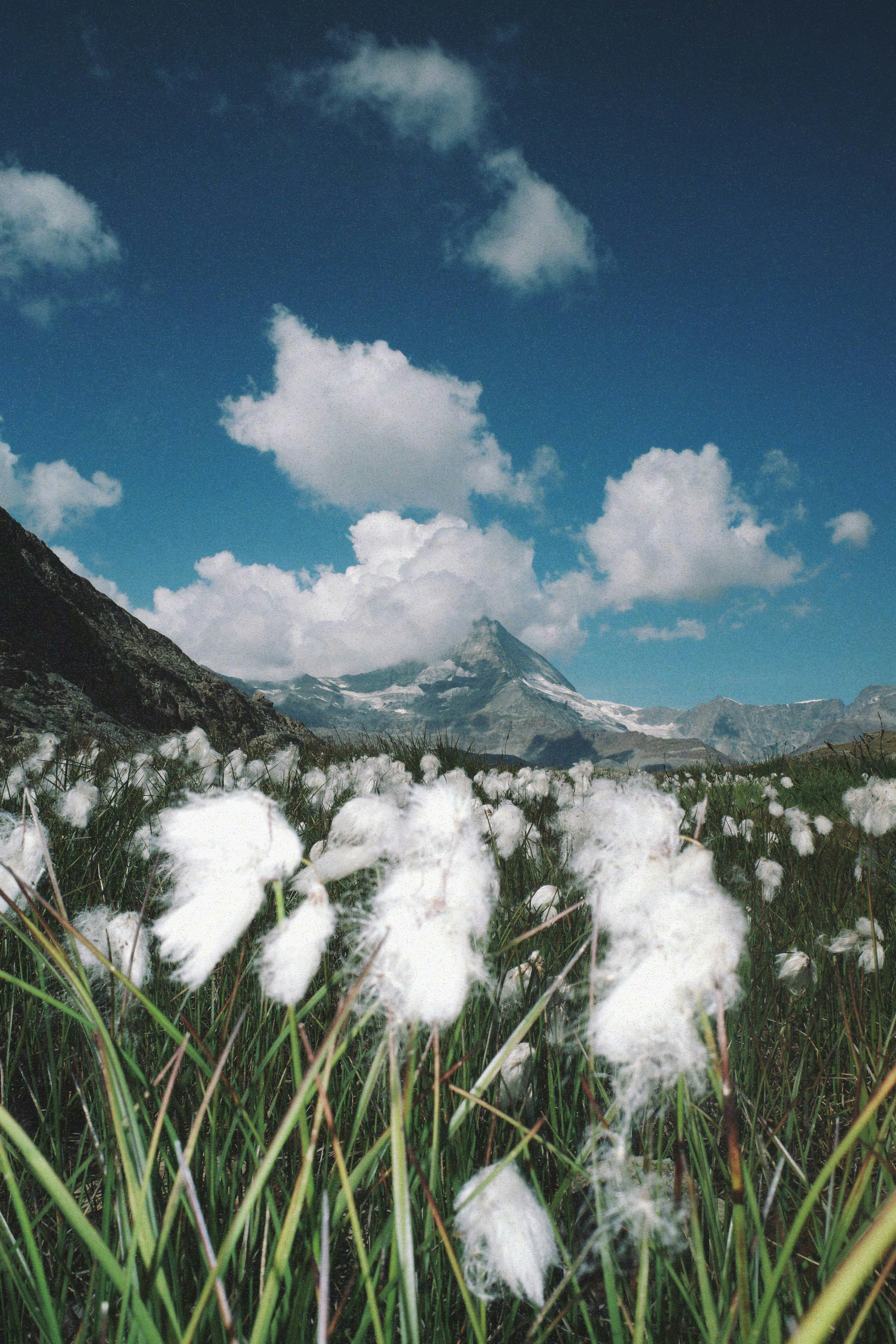 Clouds, Peak, and Cotton-Soft Meadows
